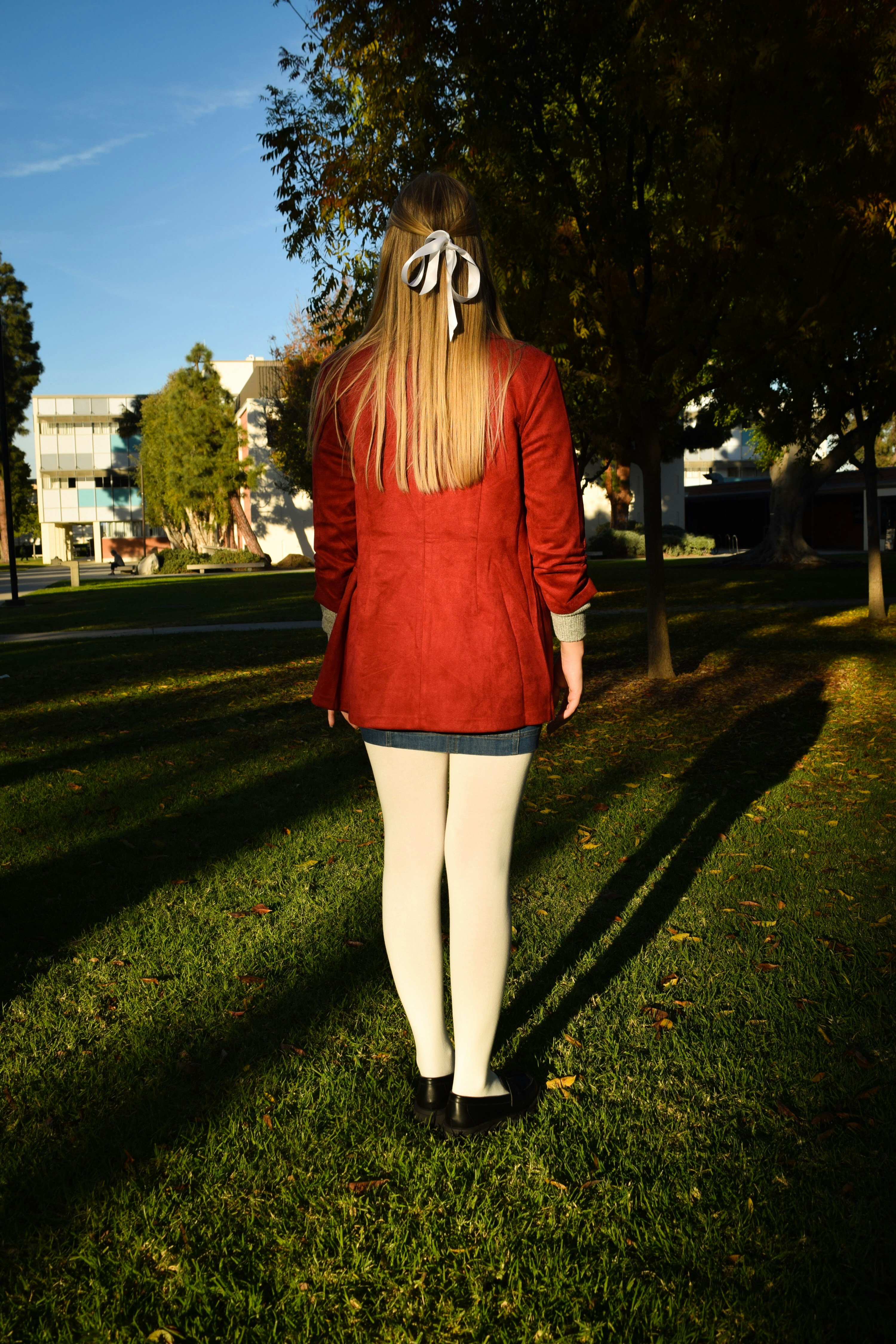 Autumn Stroll in the Afternoon Light