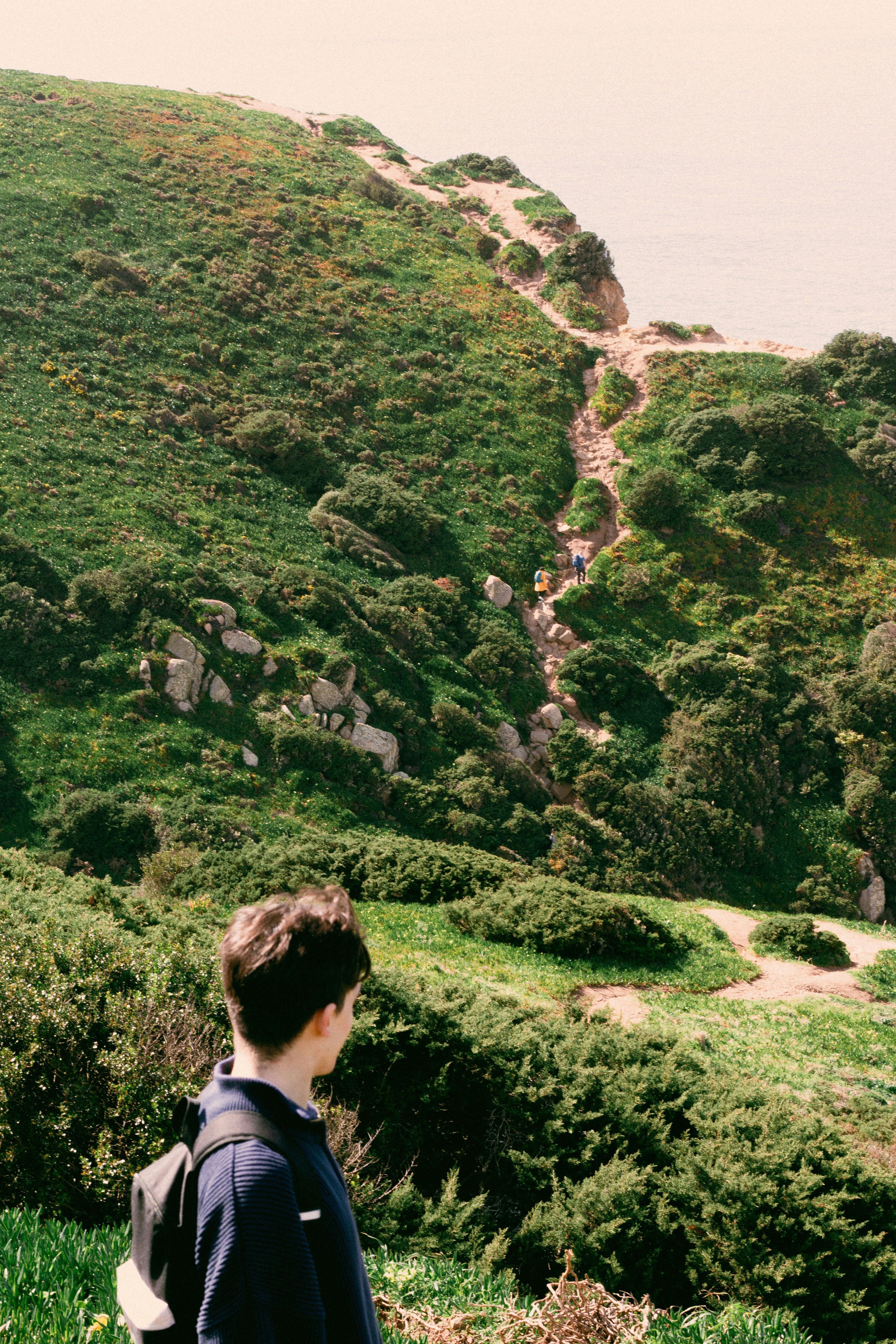 Pathway Through Verdant Hills