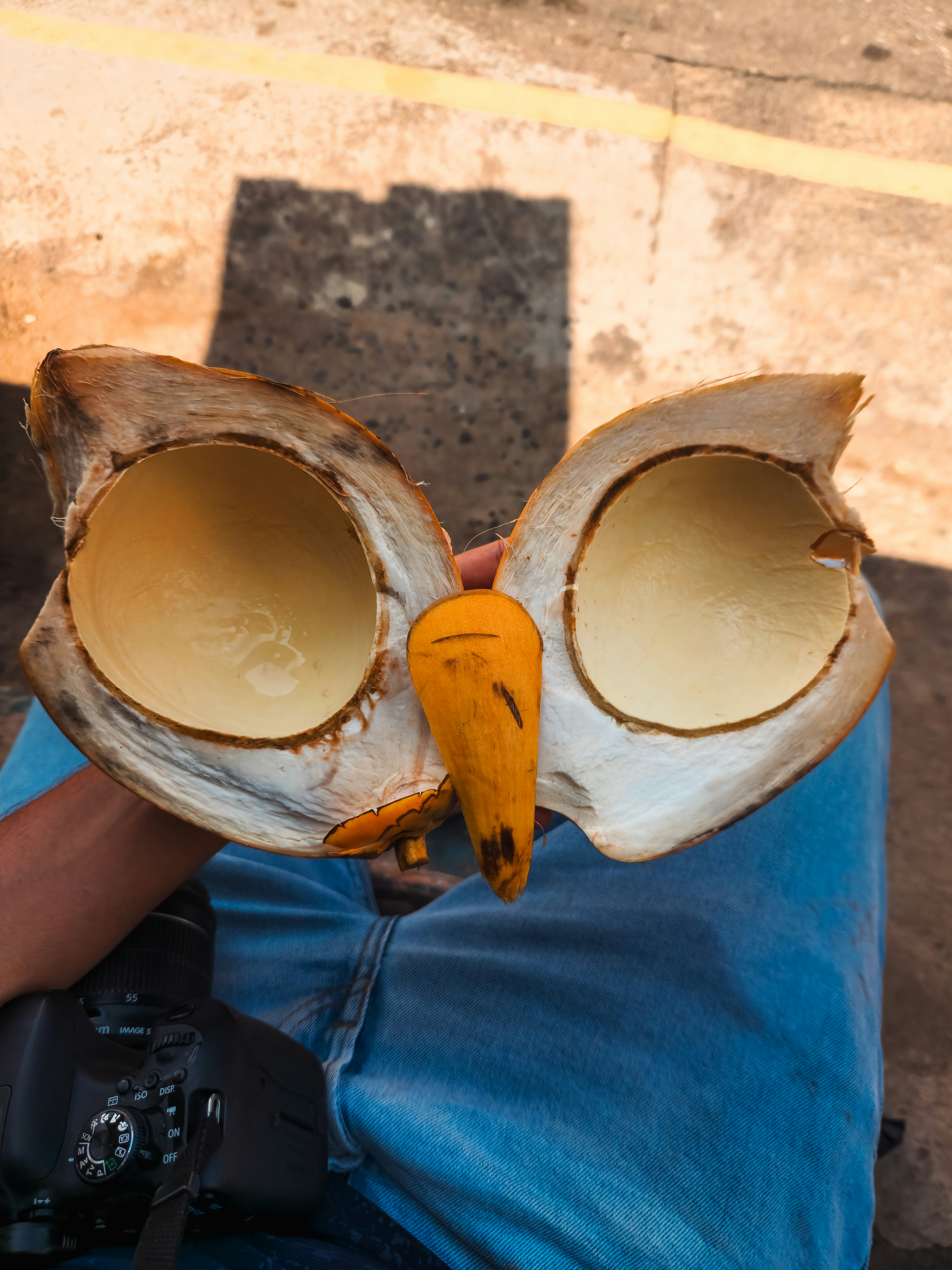 Creative owl face made from a coconut shell and banana held over denim jeans.