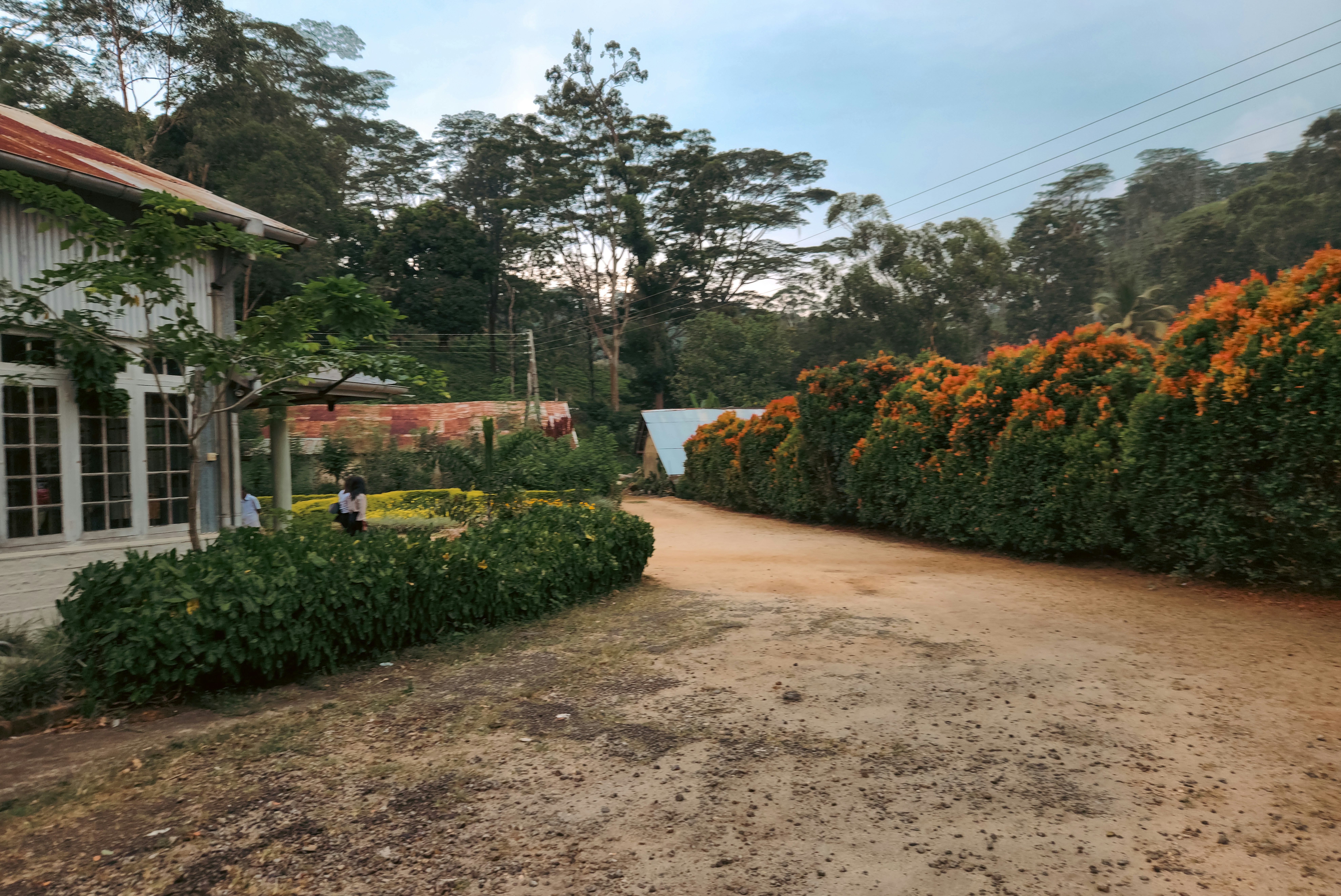 The Ceylon Tea Museum