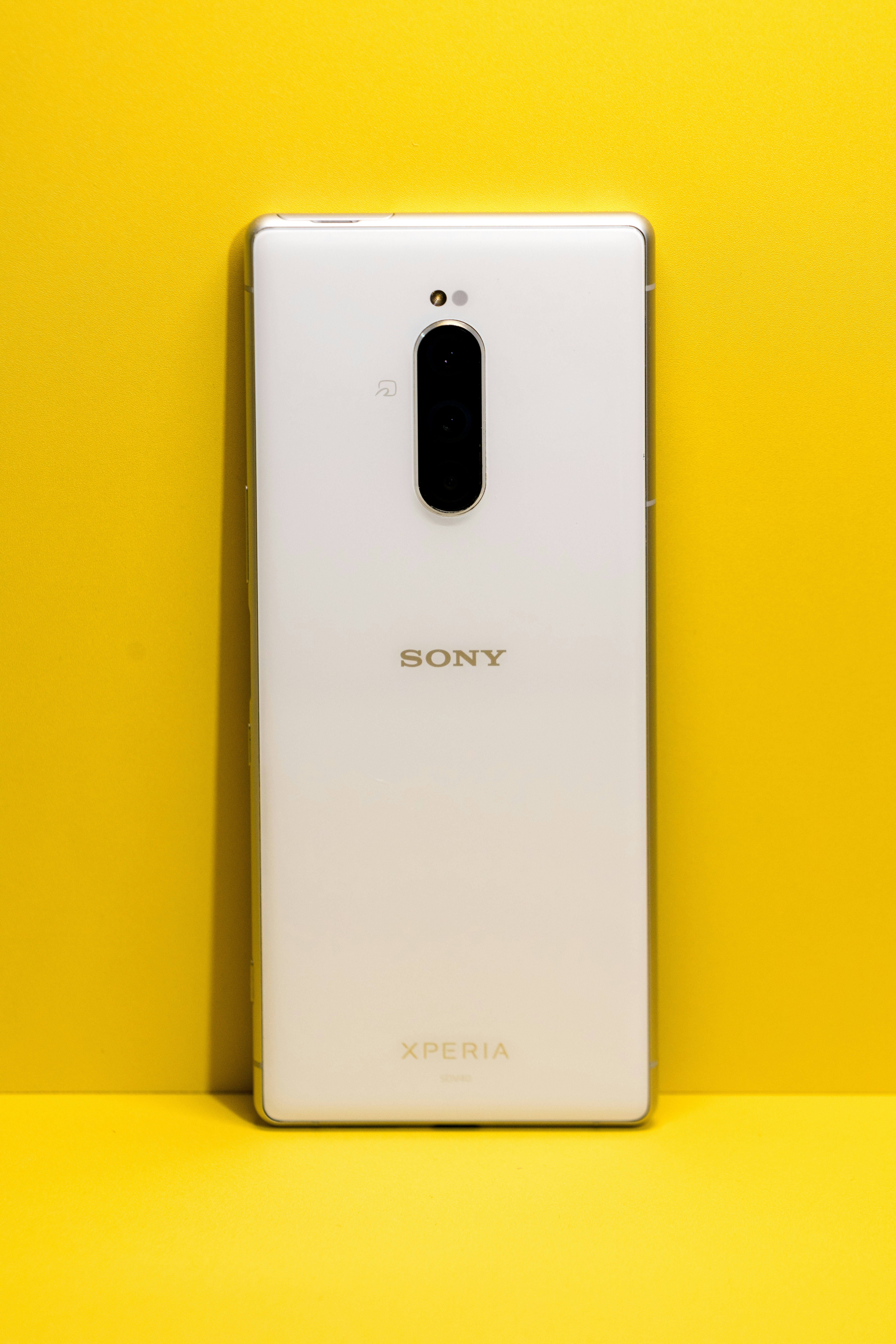 Photo by oo verthing with Sony Alpha 7R III