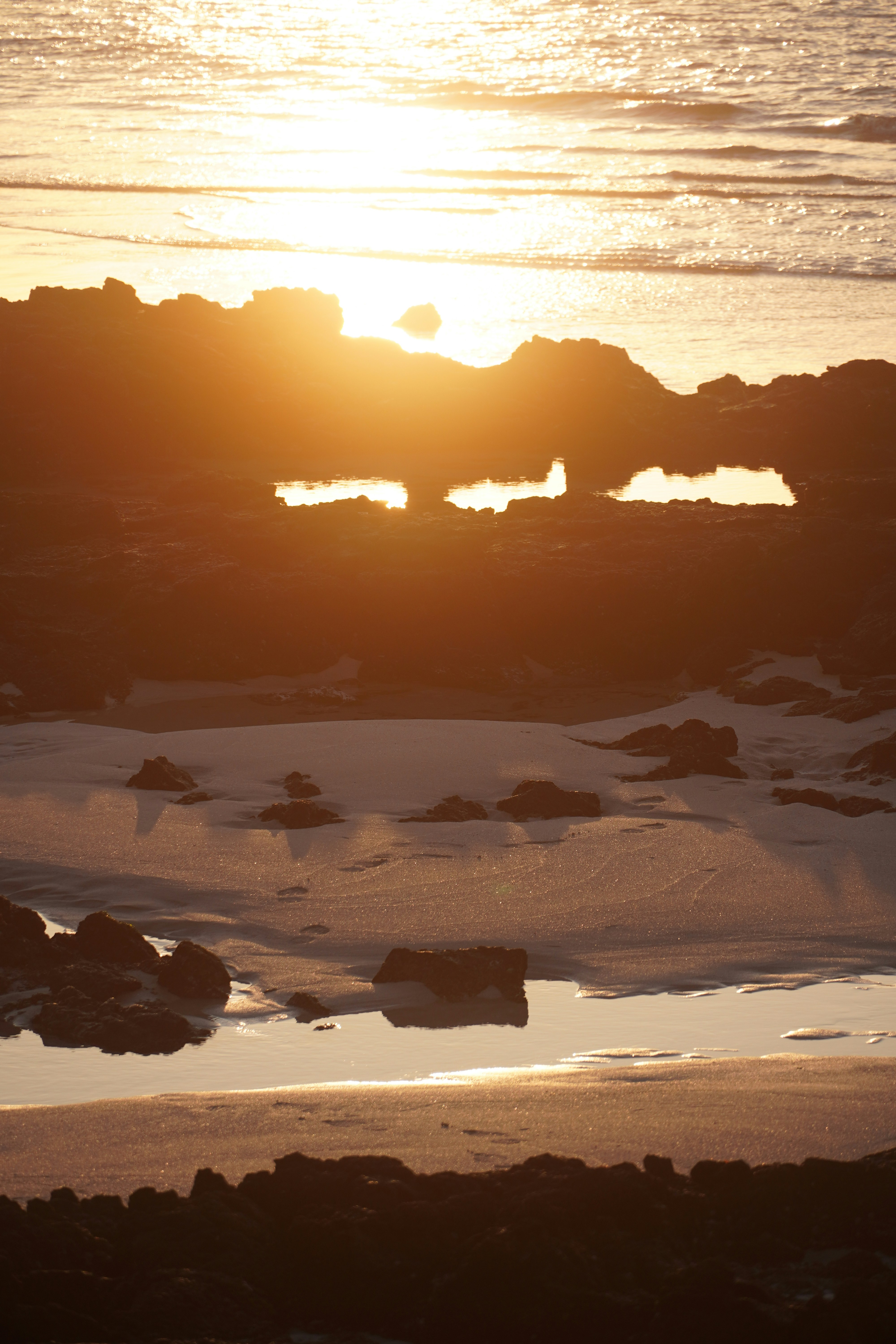 Golden Serenity Along the Shoreline