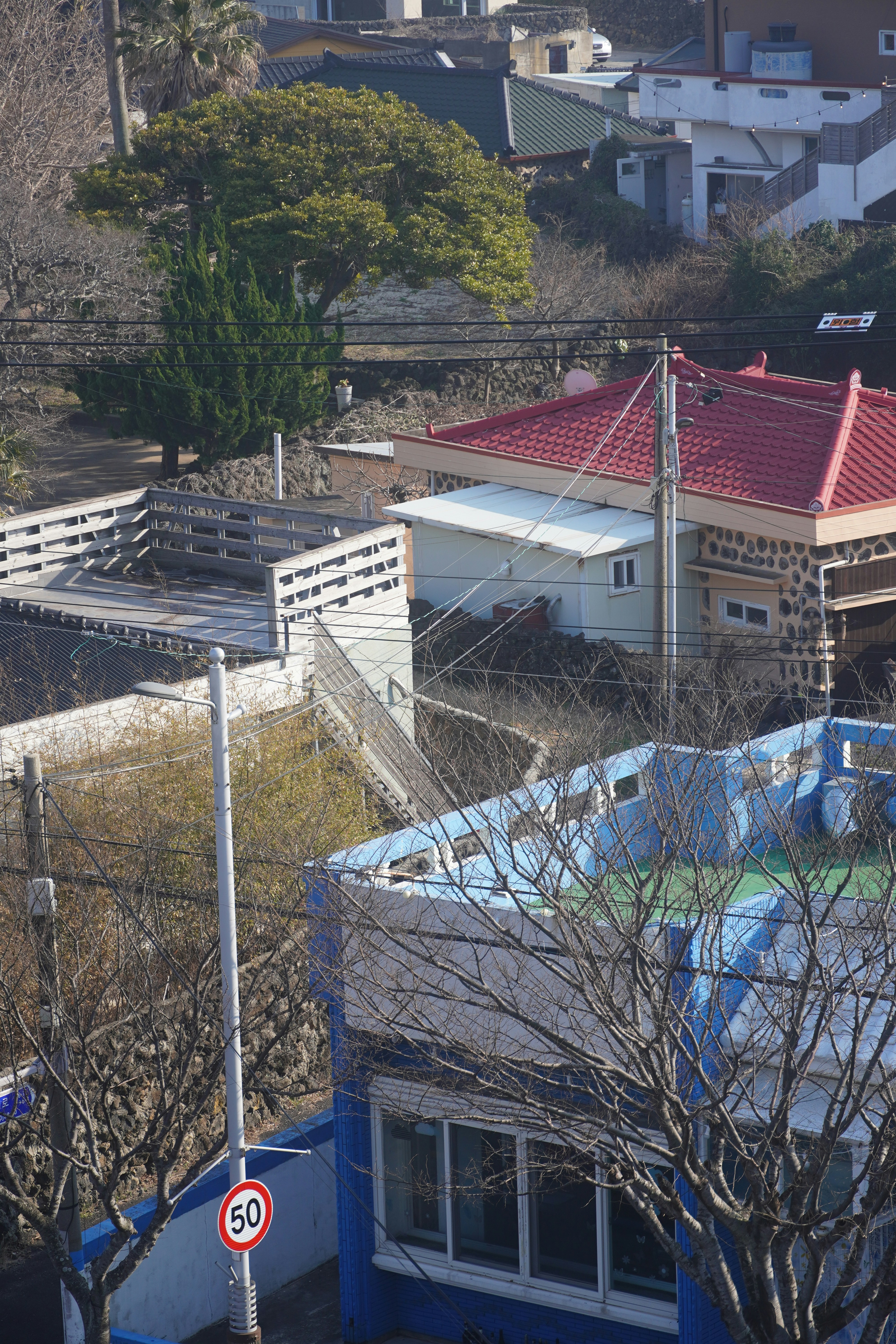 Colorful rooftops and bare trees in a layered urban landscape.