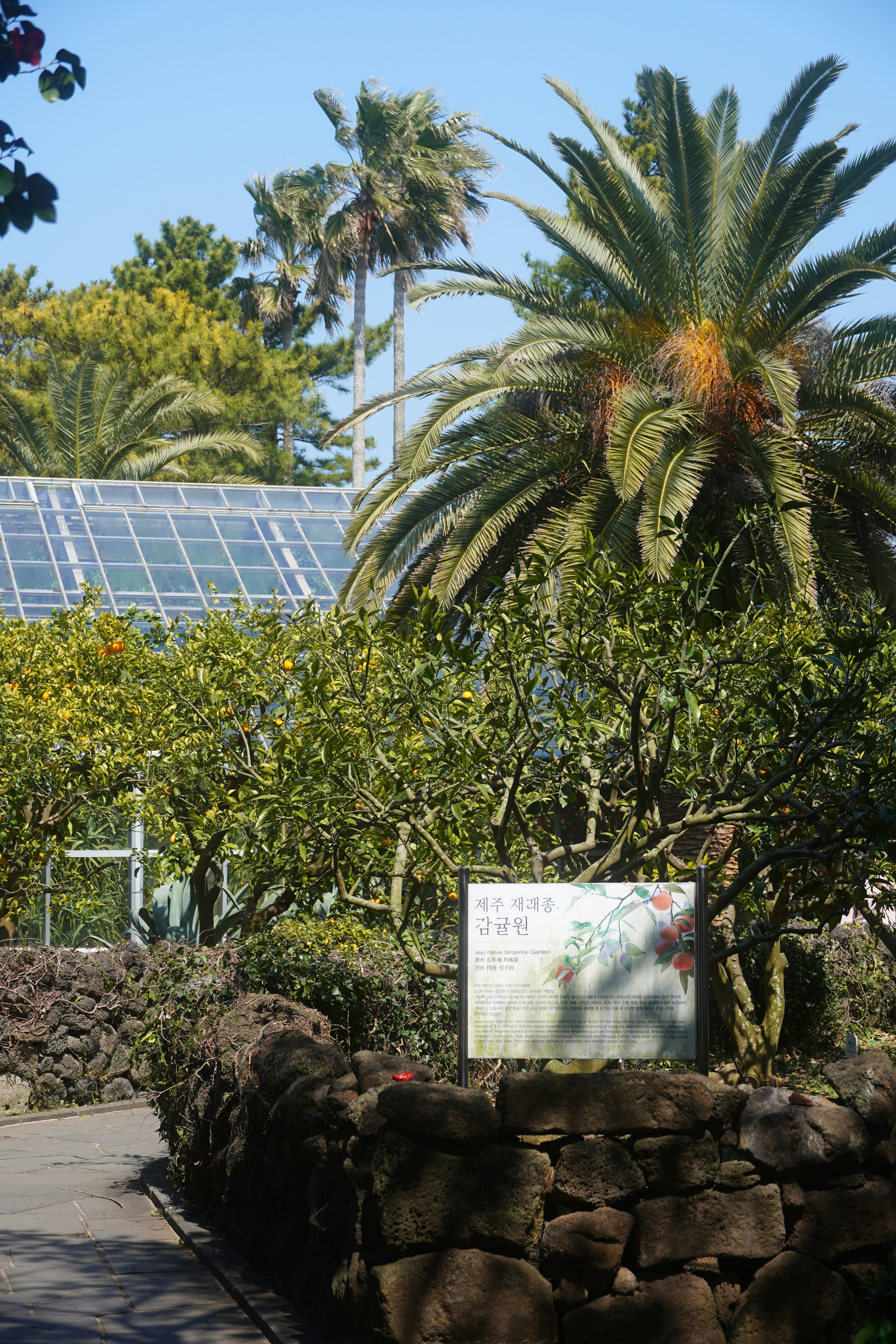 Palm Shadows Over a Tropical Garden and Informational Sign