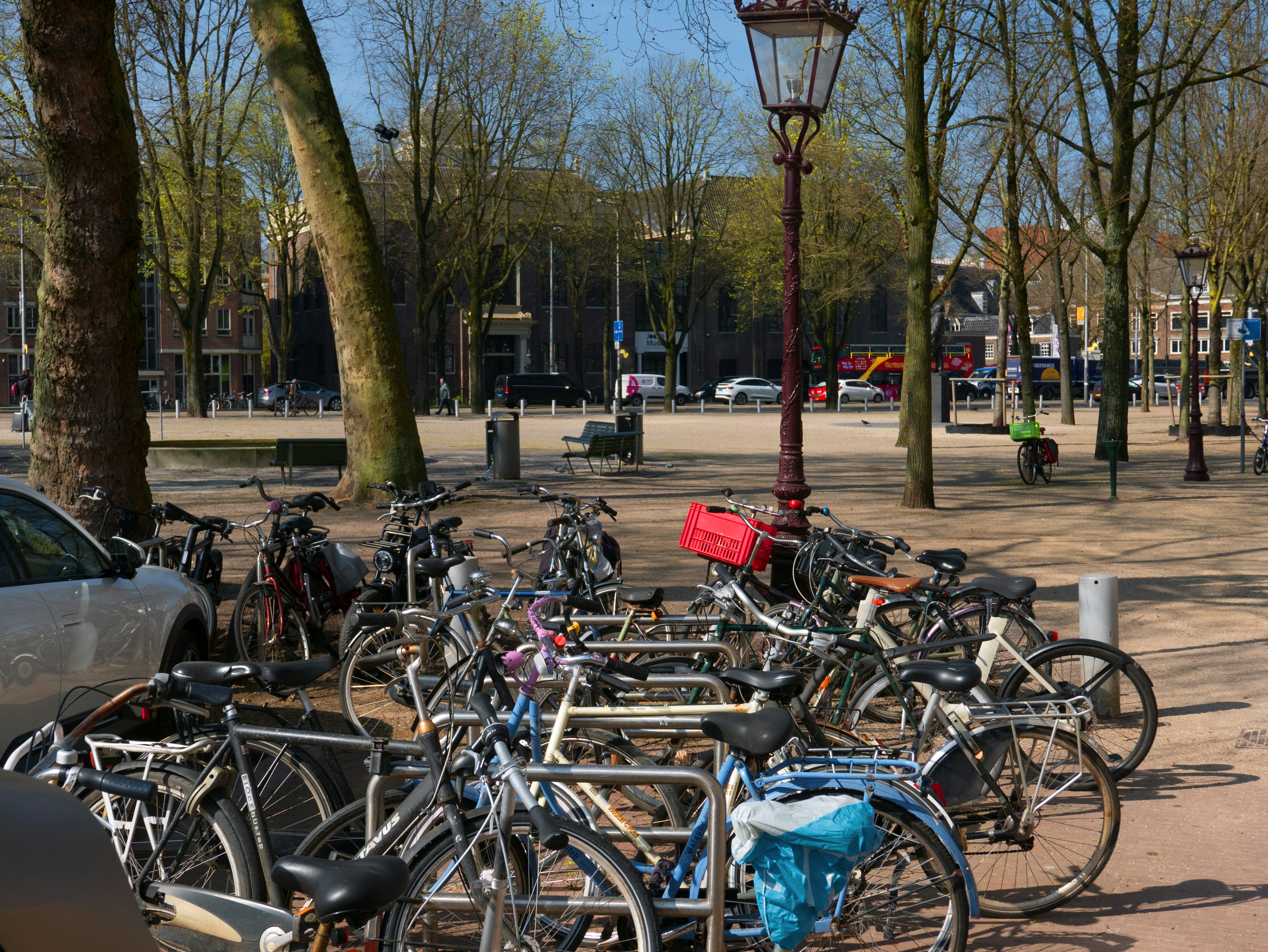 Bicycles parked under bare plane trees in a sunlit Amsterdam square, with urban buildings in the background.