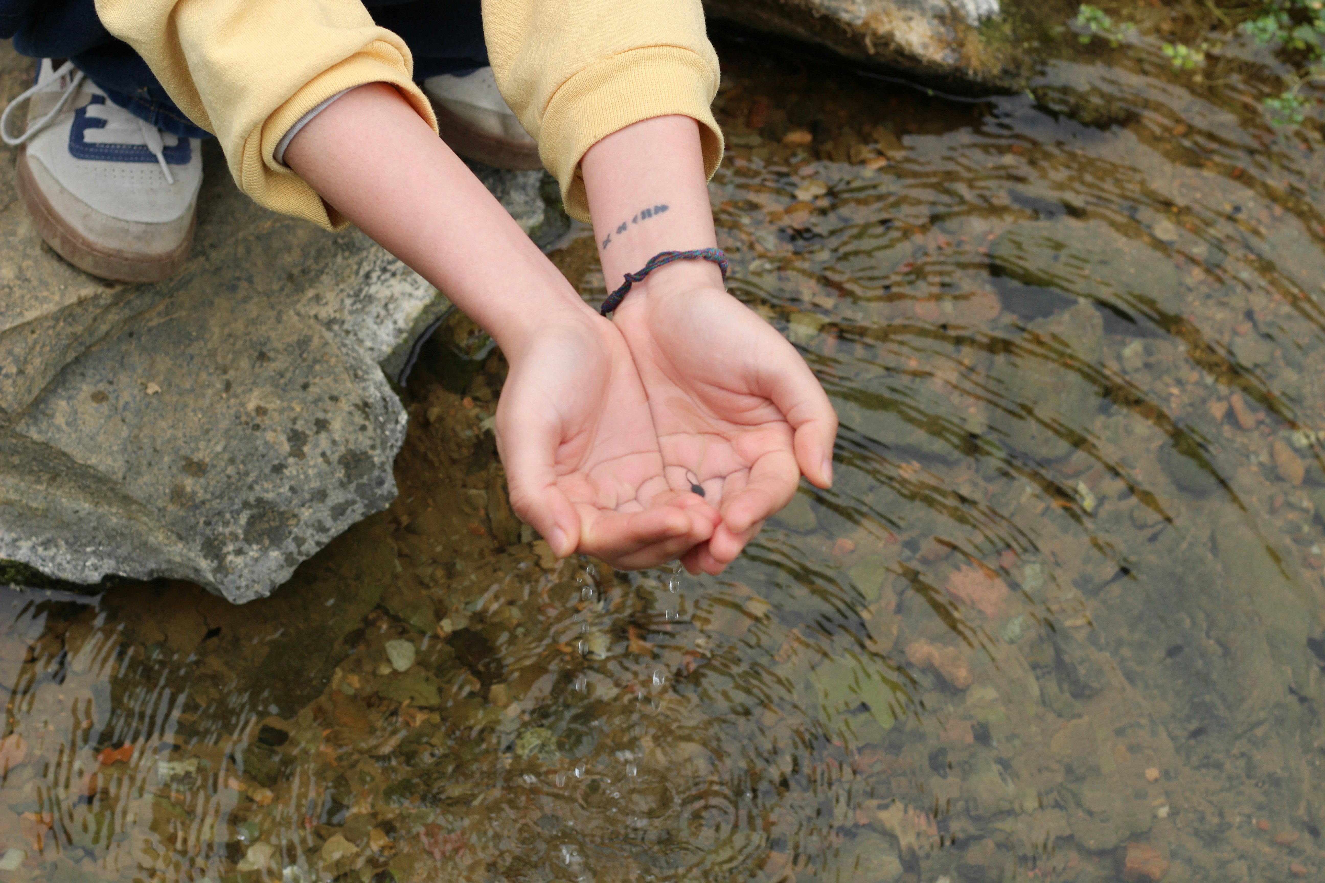 Hands cupping water near a stream. photo – Free Girl Image on Unsplash