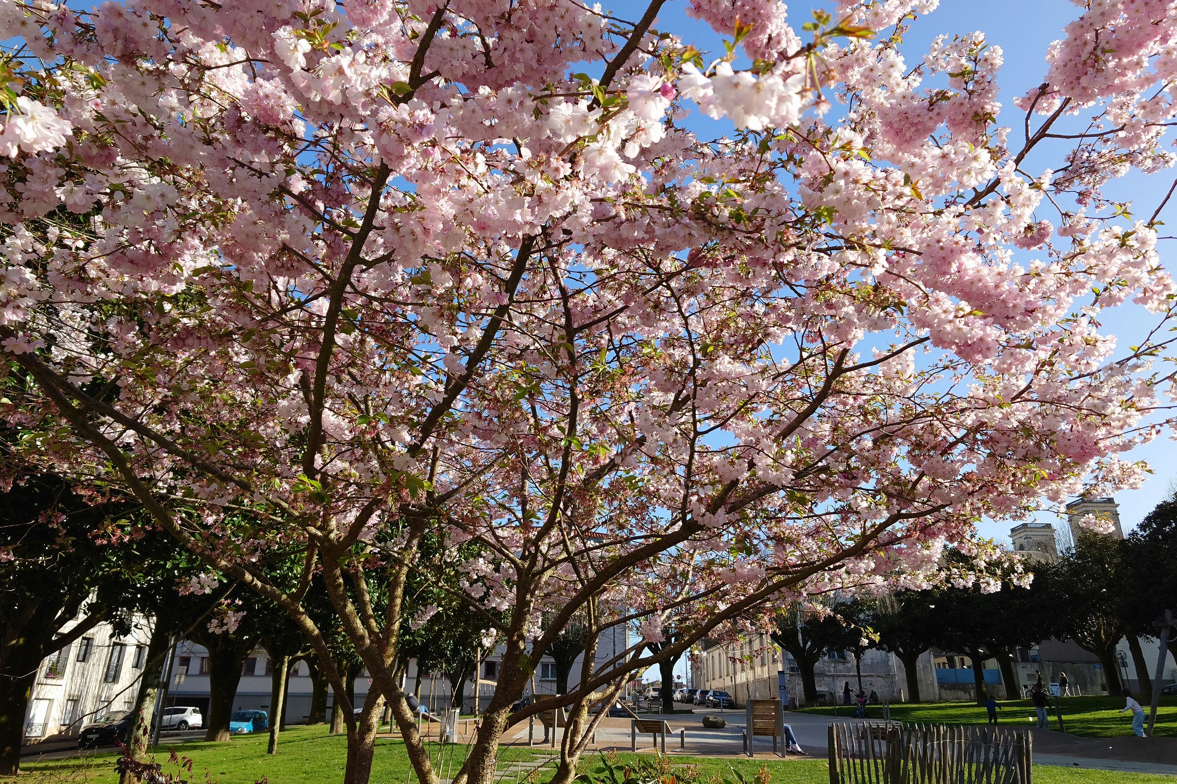 Photo by Joseph LEE with Sony Xperia PRO-I