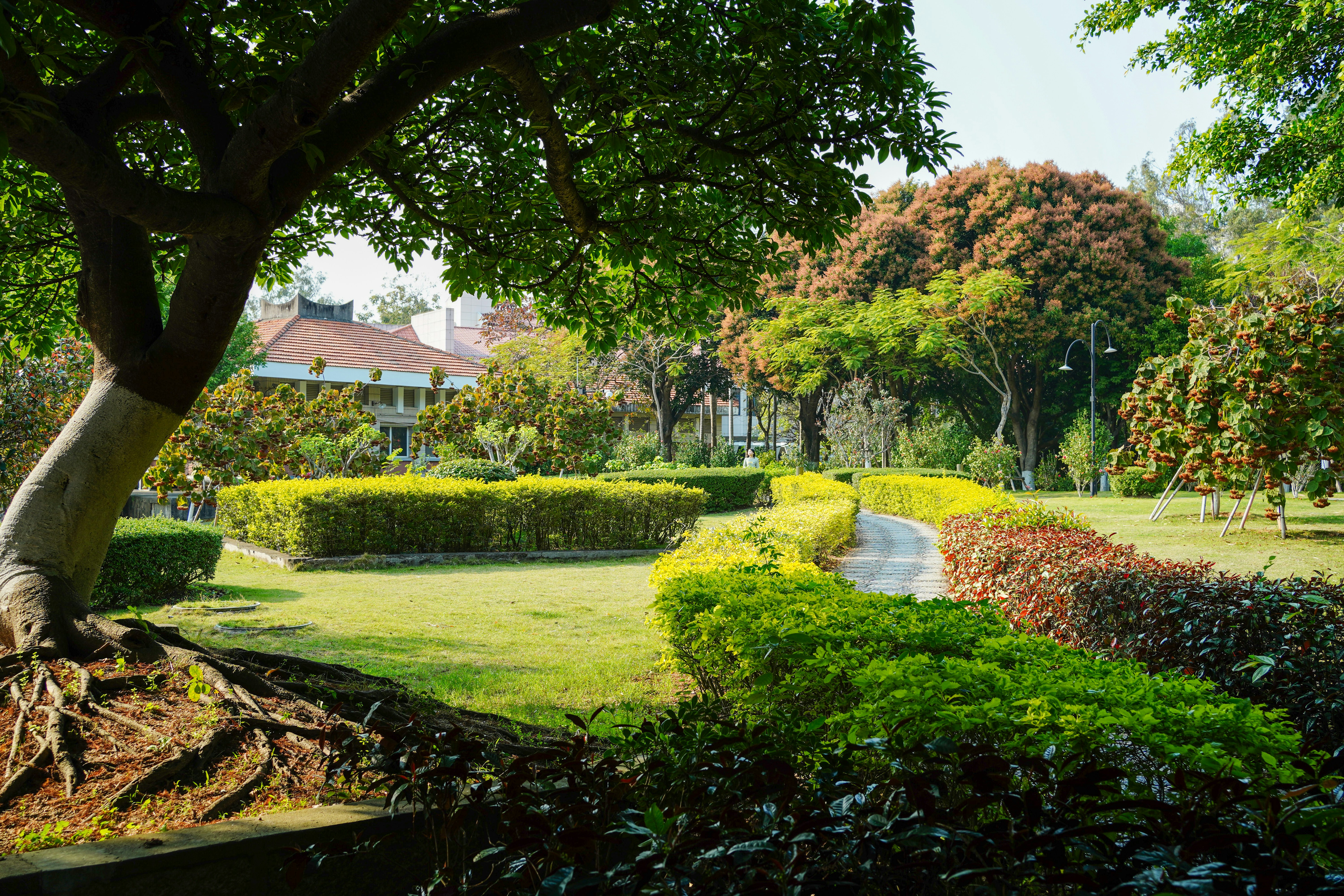 A beautiful garden scene with lush greenery. photo – Free Forest Image ...