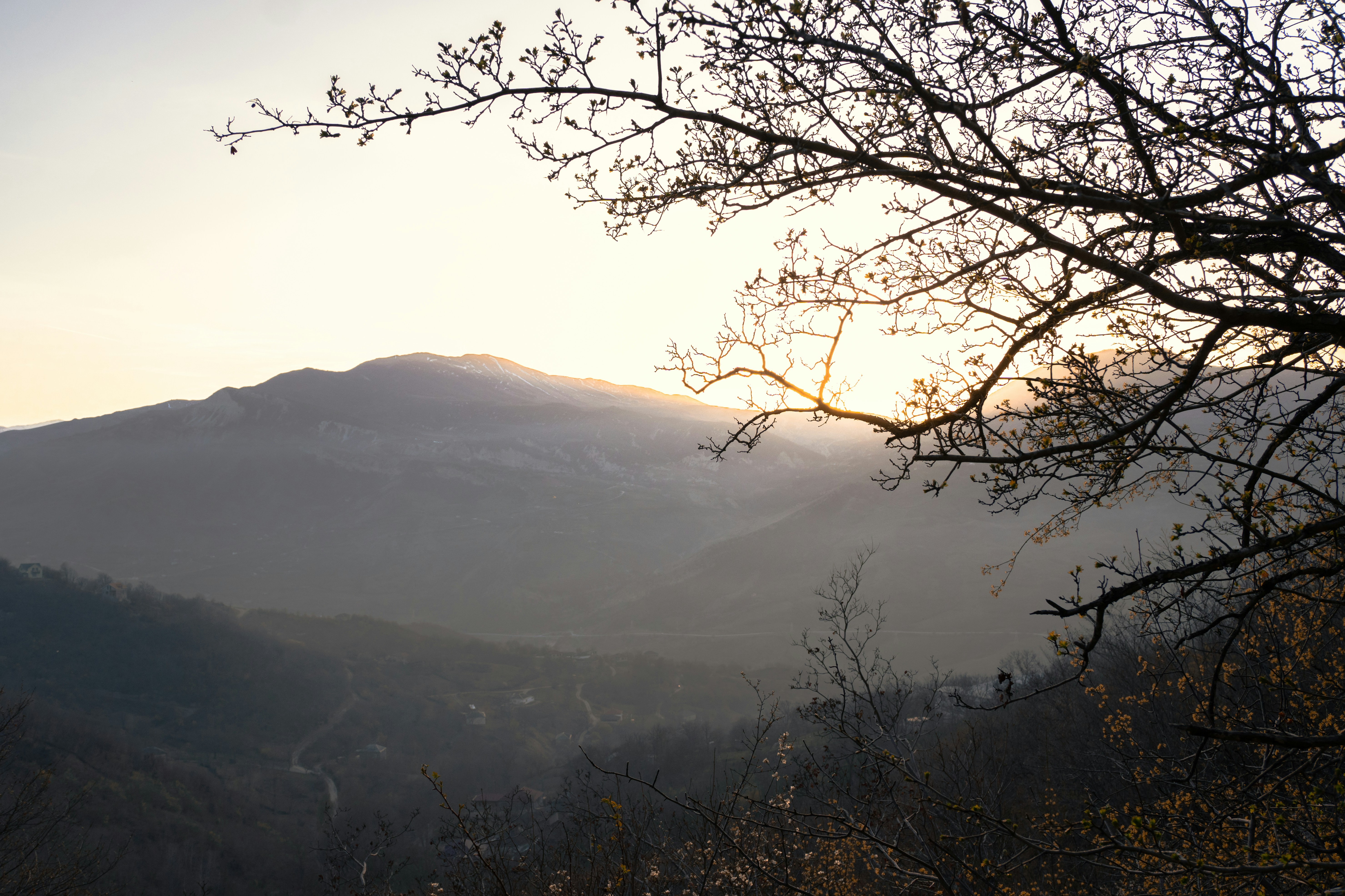 Silhouetted tree branches frame a hazy mountain landscape at sunrise.