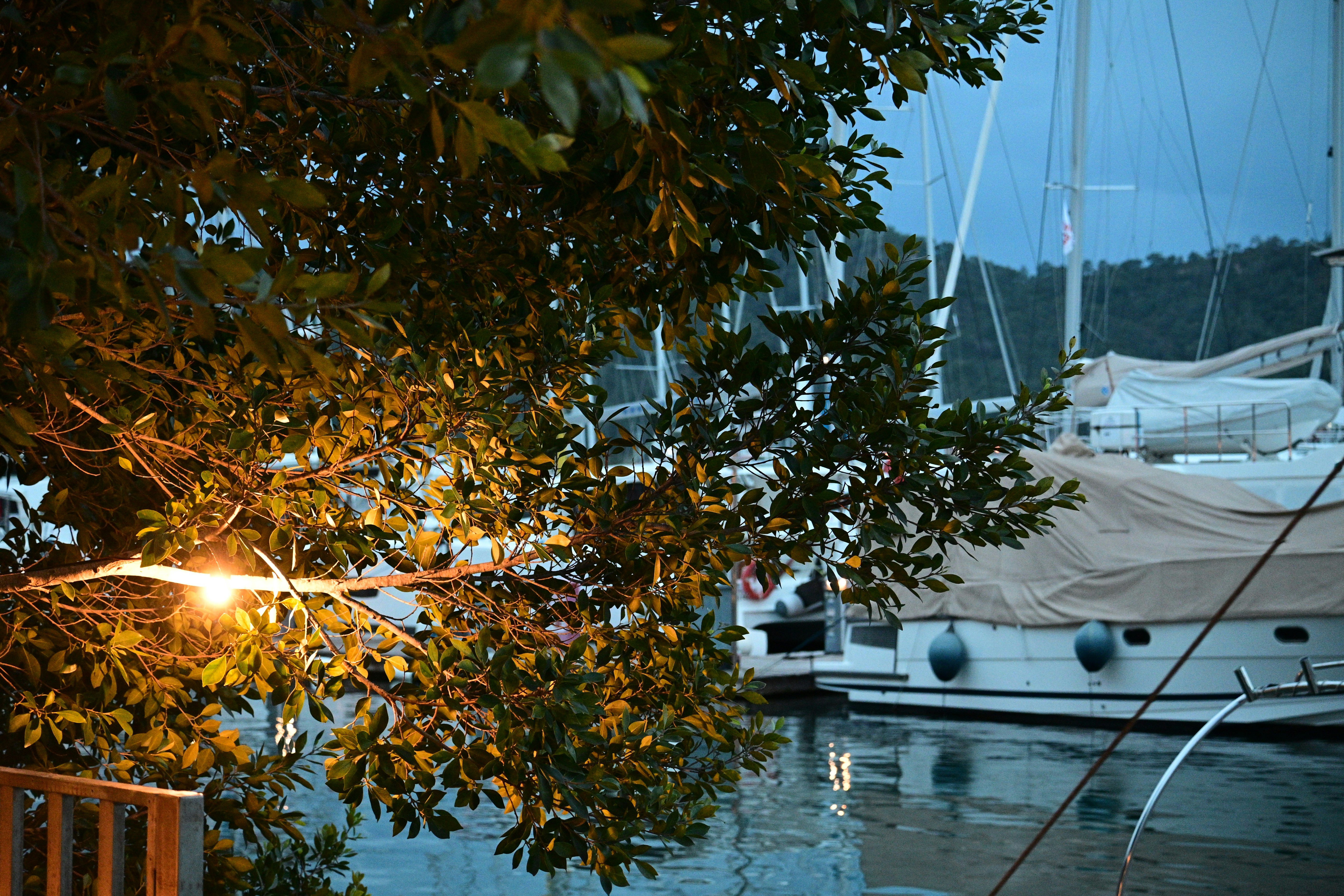 Twilight Harbor Glow