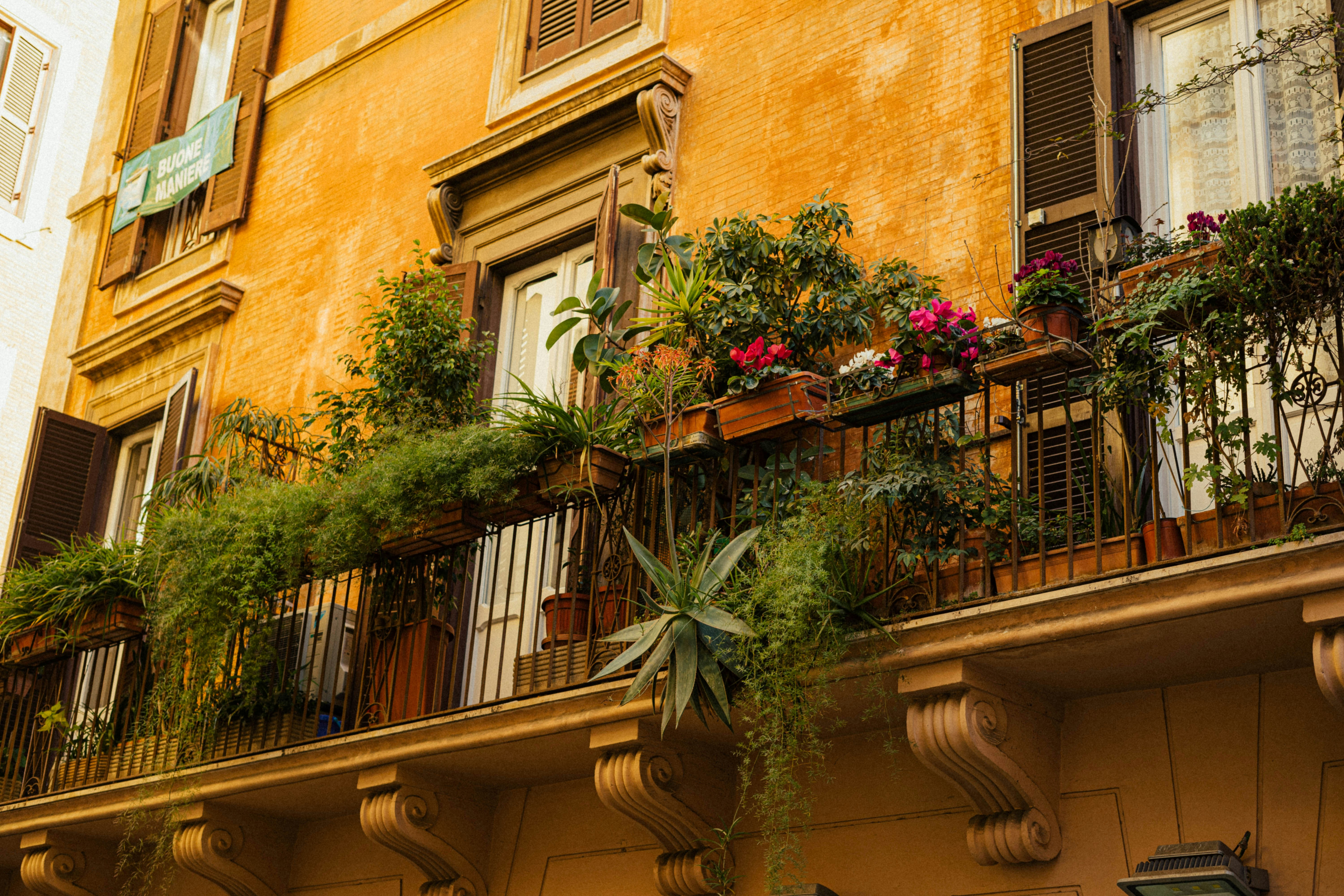 Lush plants and vibrant flowers adorn a charming balcony against a warm, textured wall.