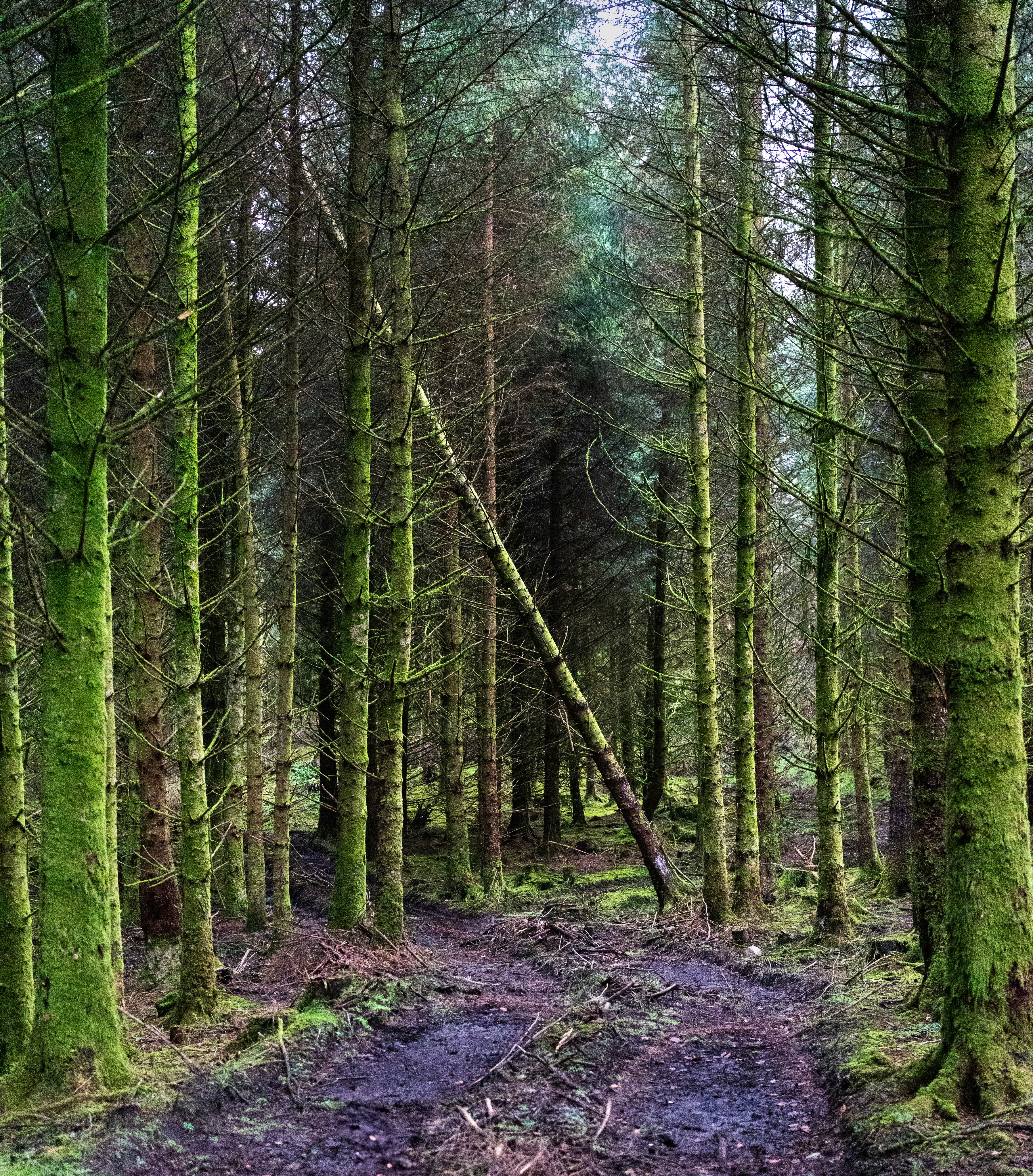 Photo by Richard James with Sony Alpha 7C II