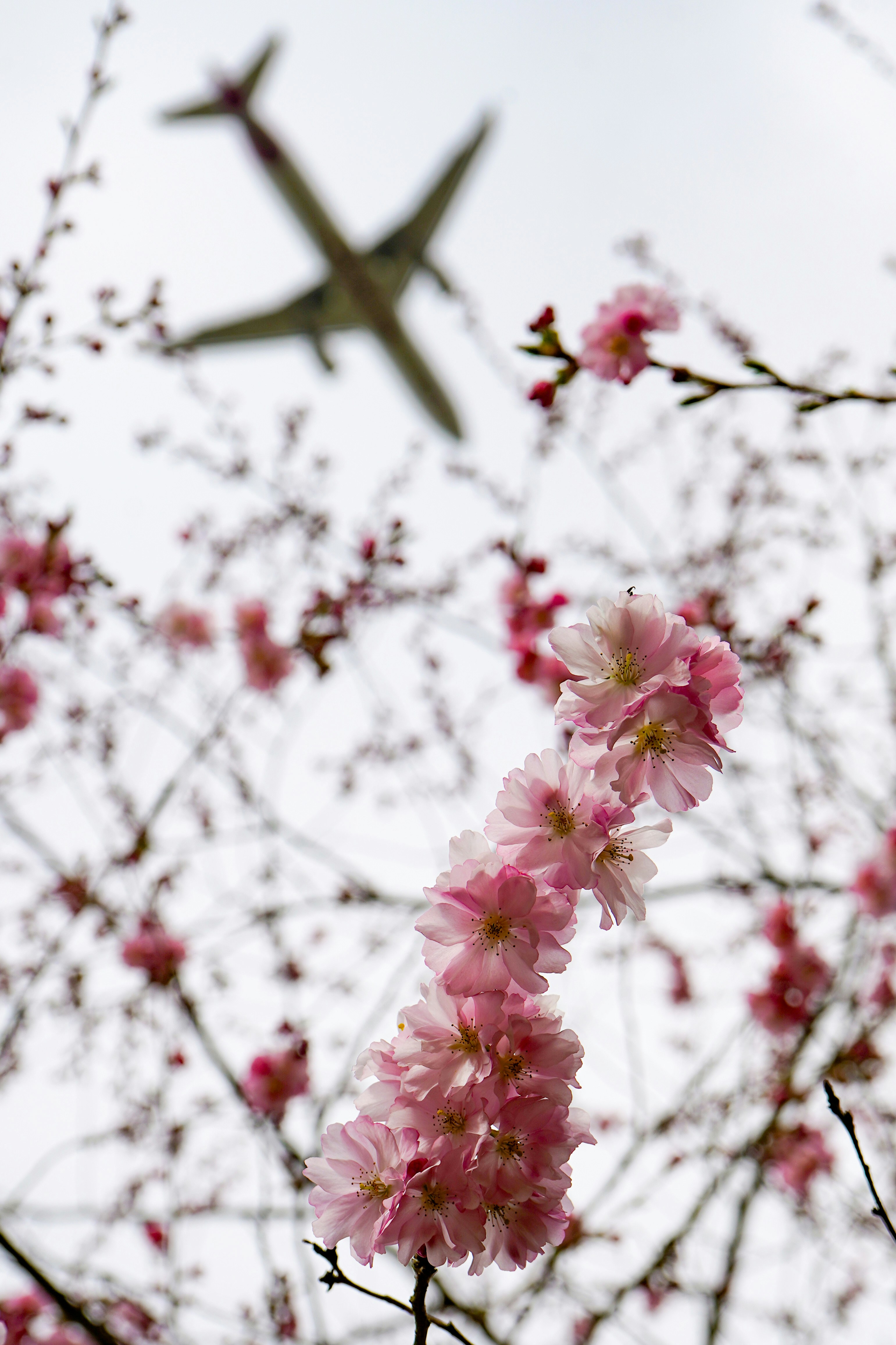 Photo by vamsinath reddy with Sony Alpha 7 III