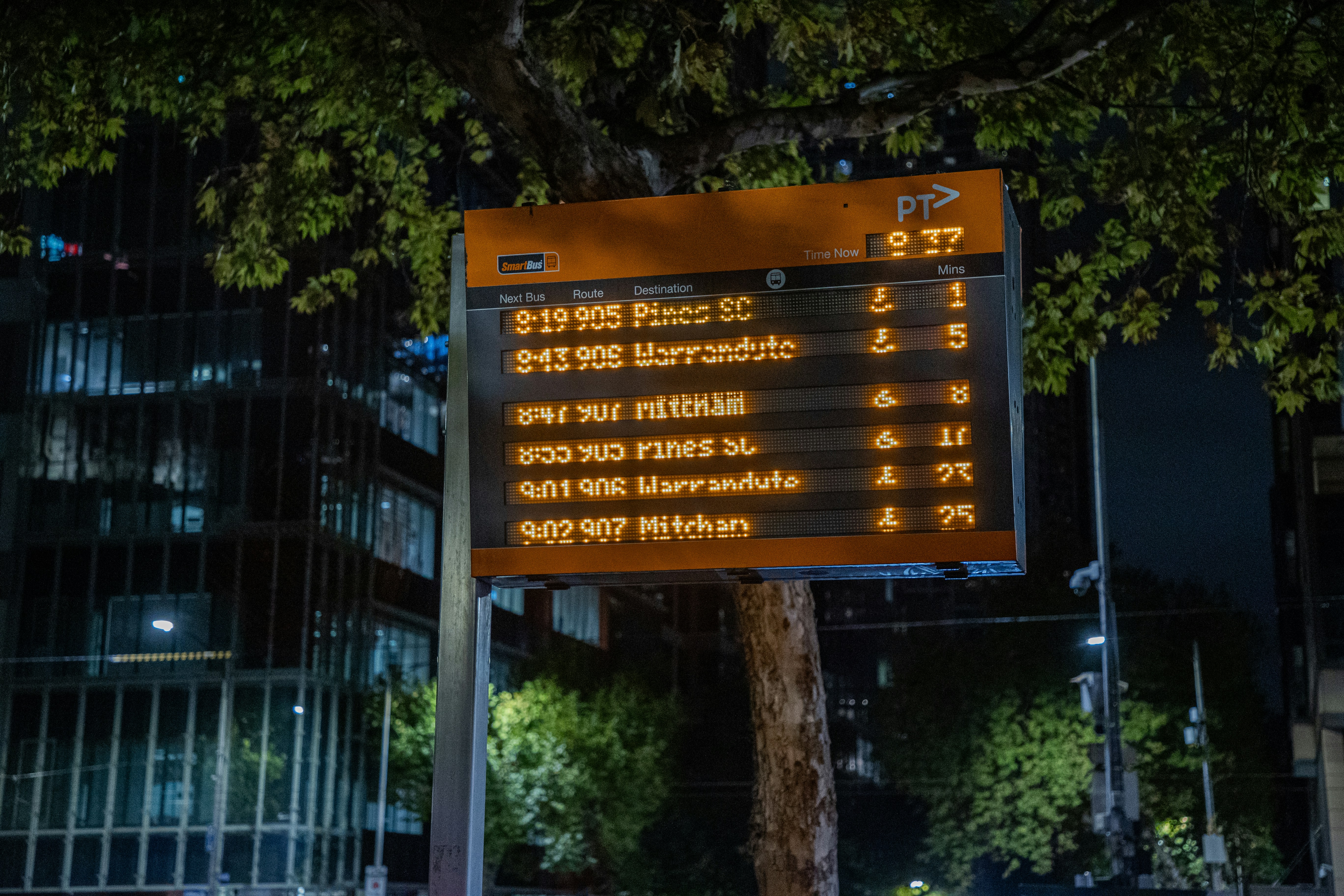 Neon Timetable Under Night Canopy: A Bus Sign Framed by Urban Trees and Glass
