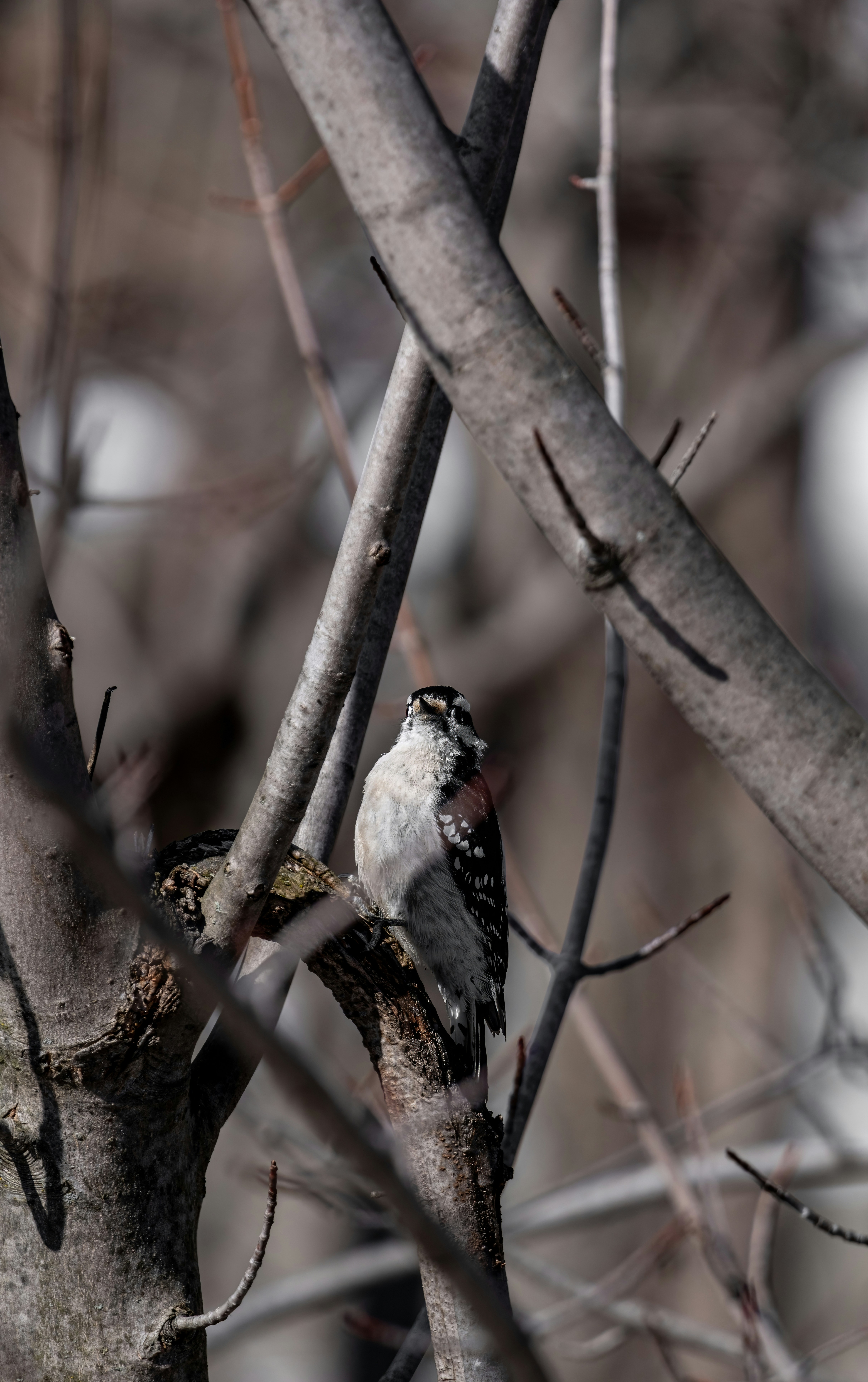 Photo by Alexandre Daoust with Fujifilm X-T5