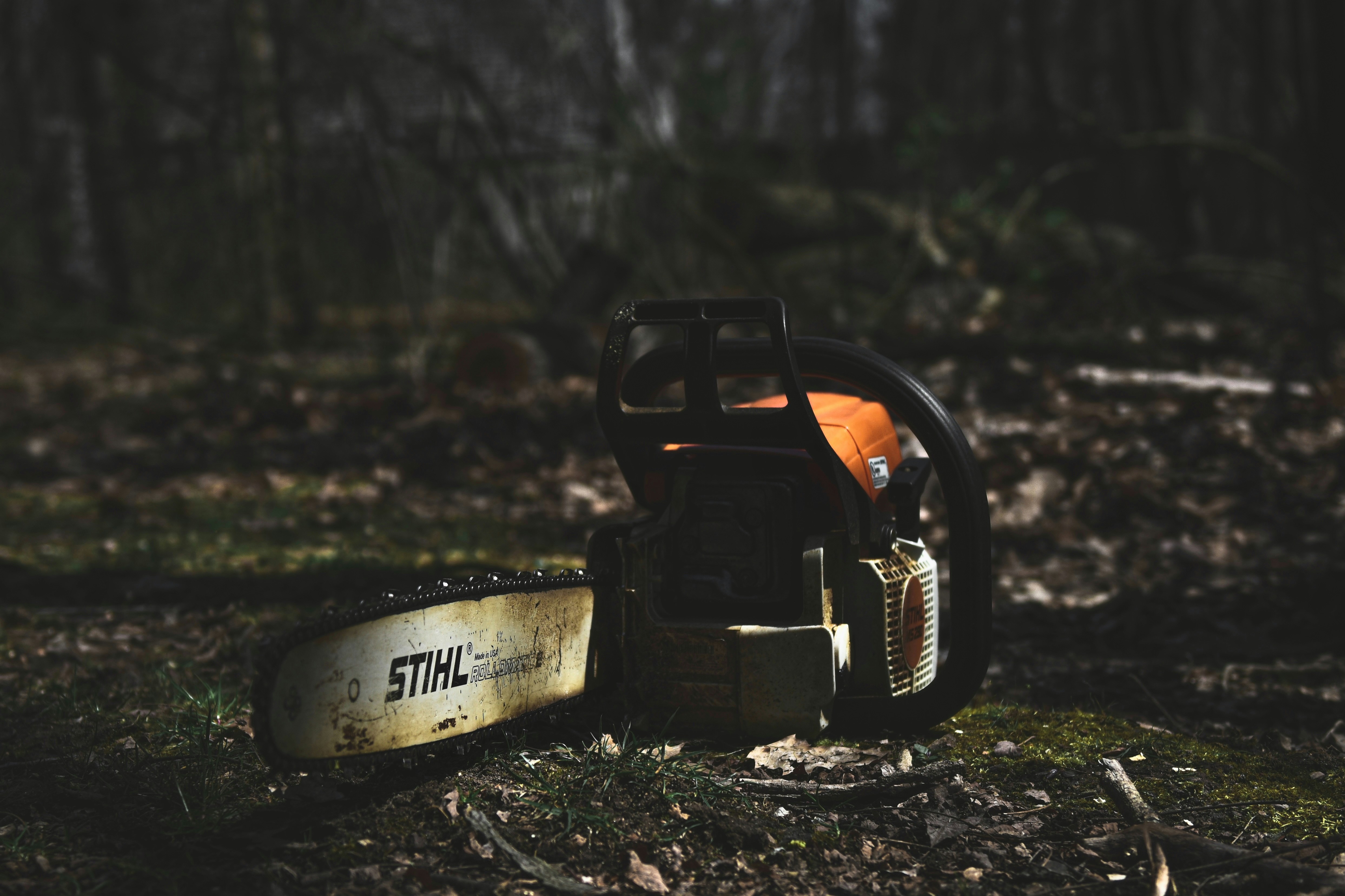 Chainsaw at Dusk: A Forest's Silent Sentinel