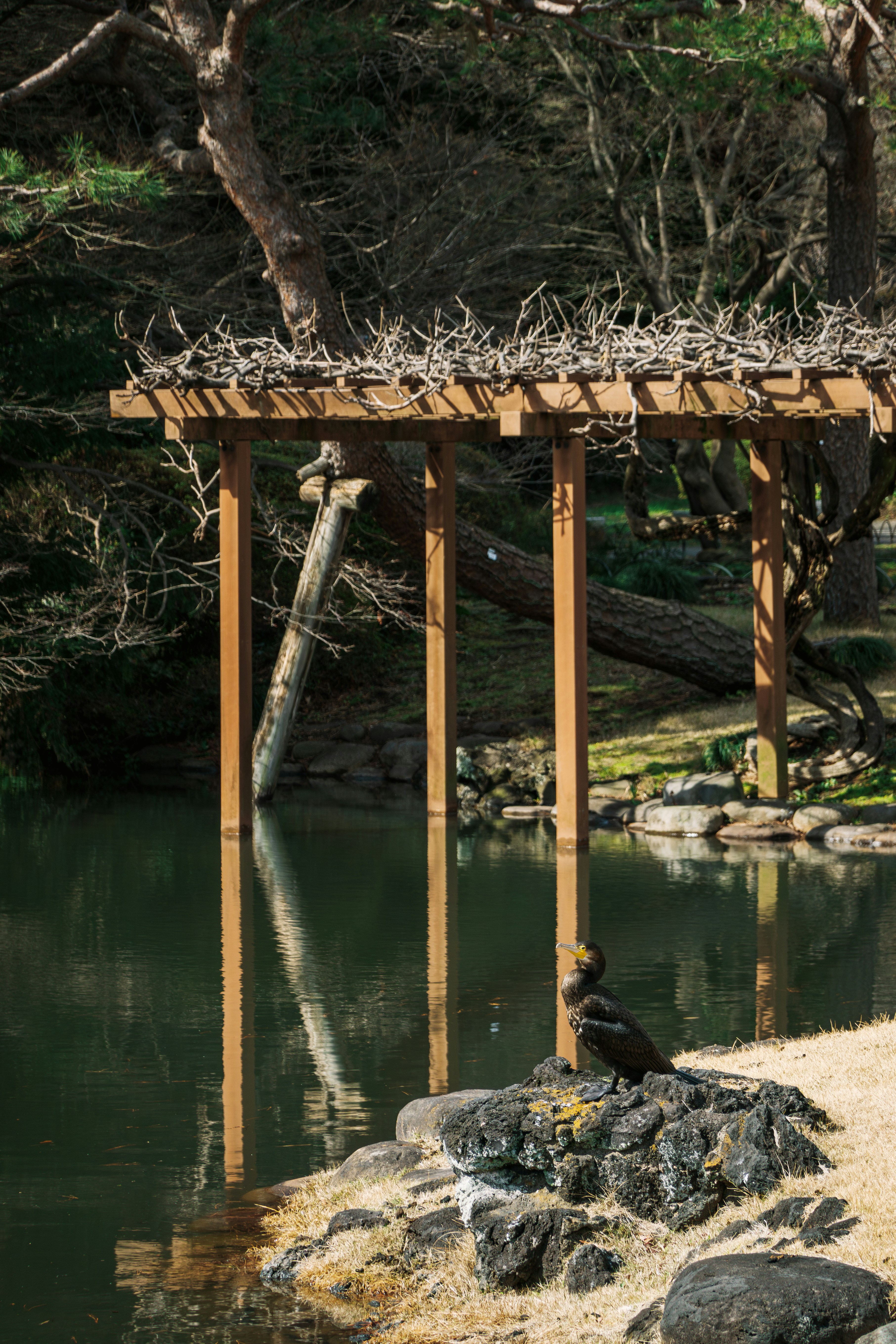 A Quiet Deer-Guarded Bridge Over Still Water