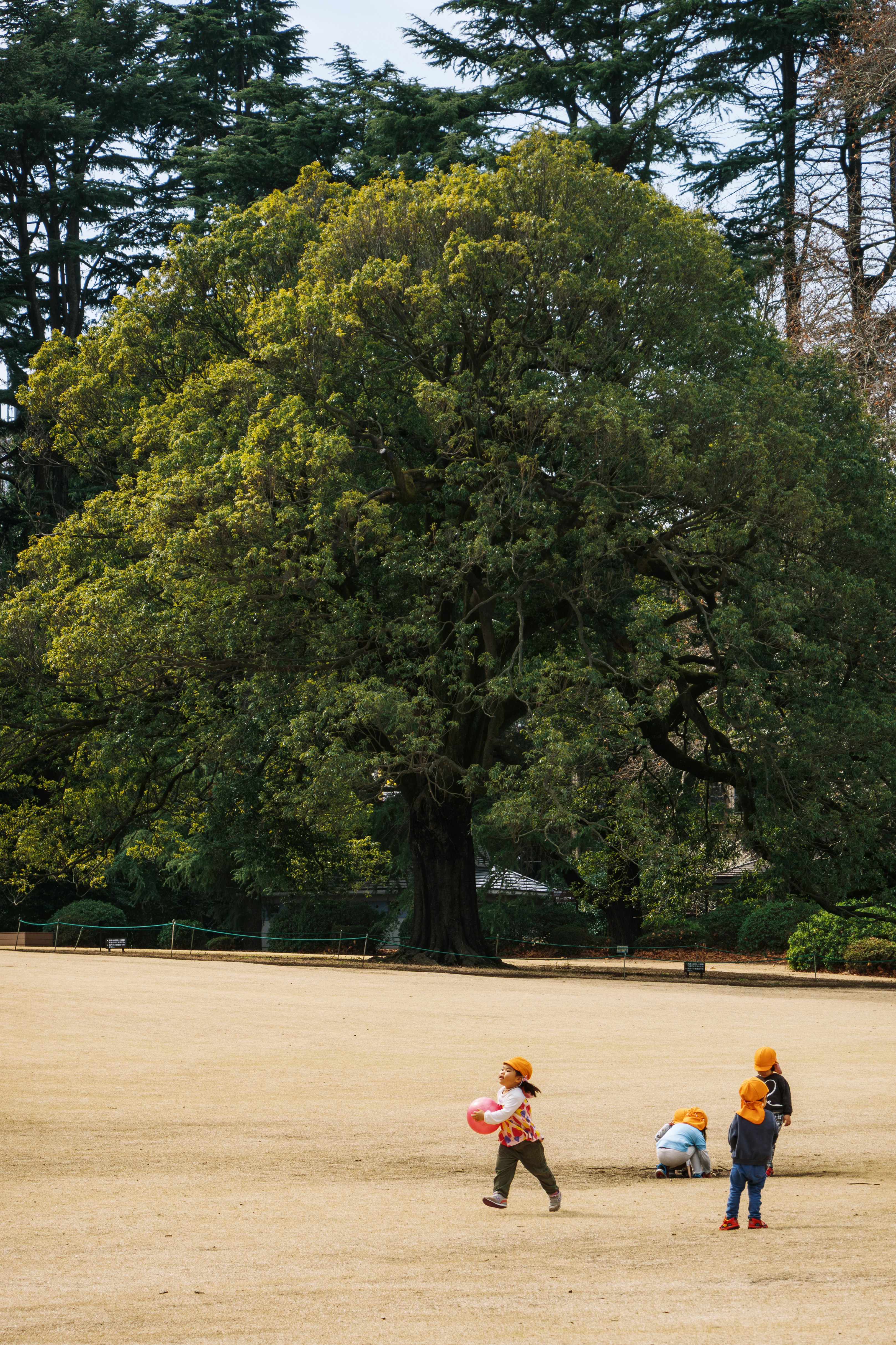 Children Playing Under the Majestic Oak