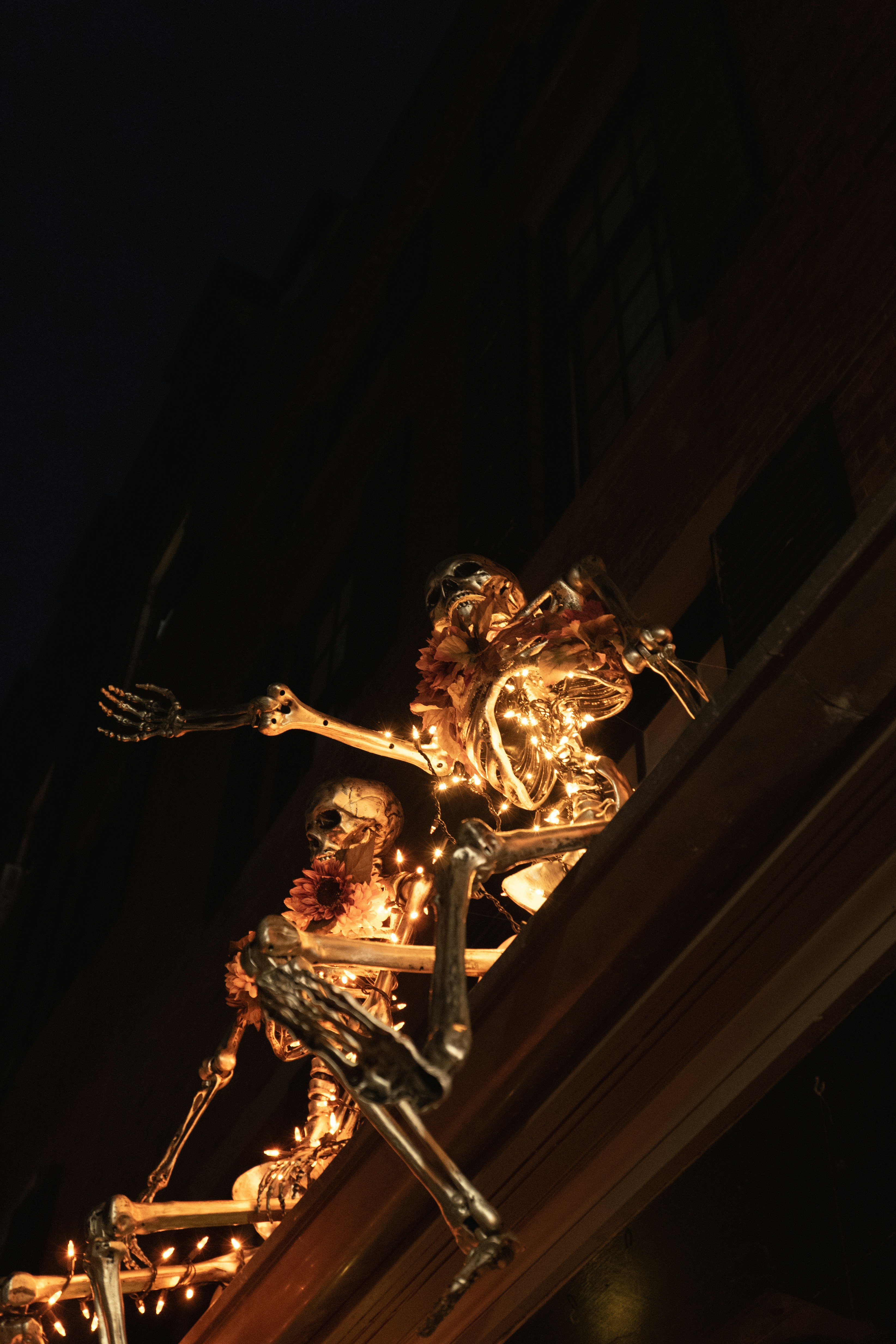Illuminated Skeletons on the Rooftop