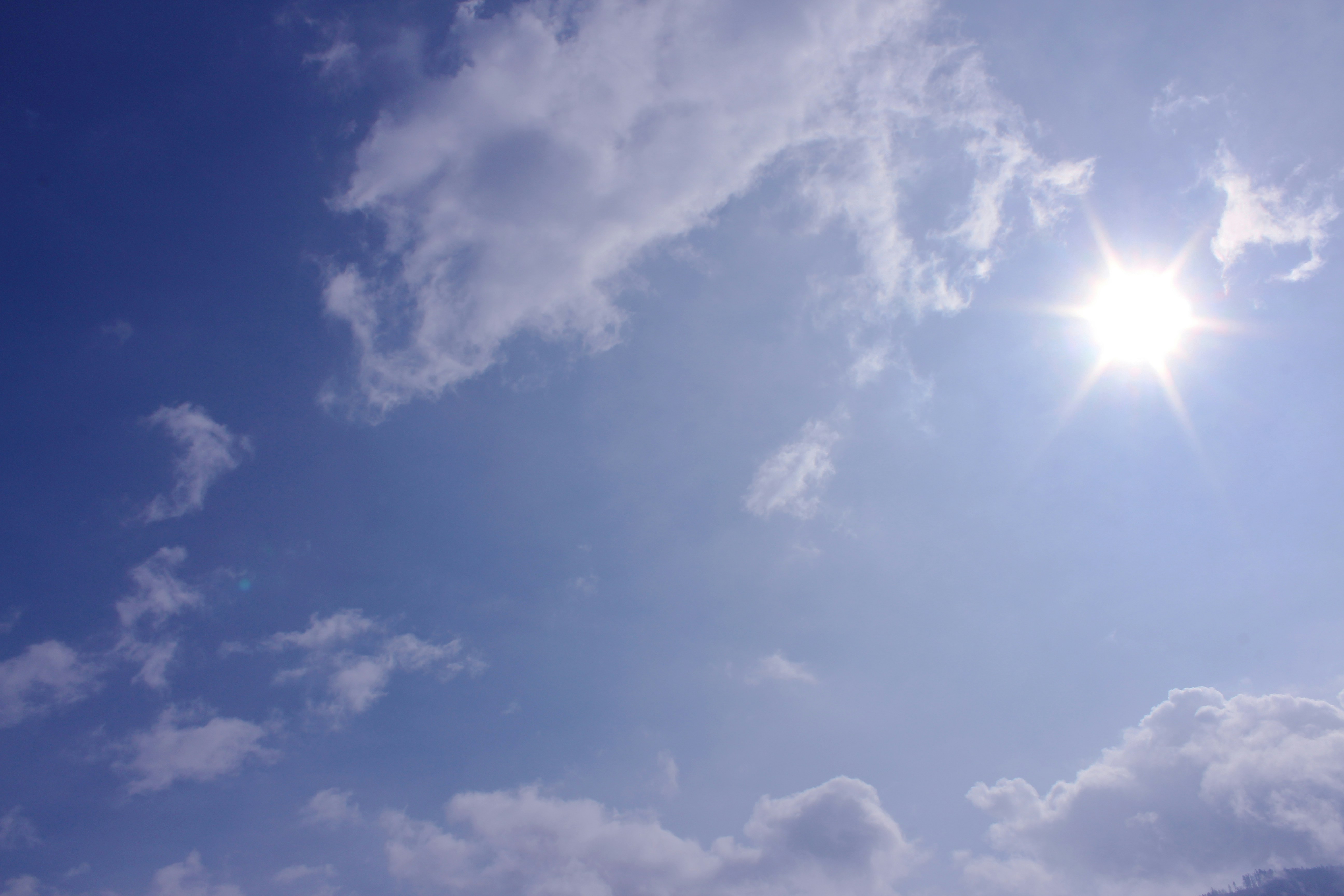 Sunny Weather Pictures | Download Free Images on Unsplash