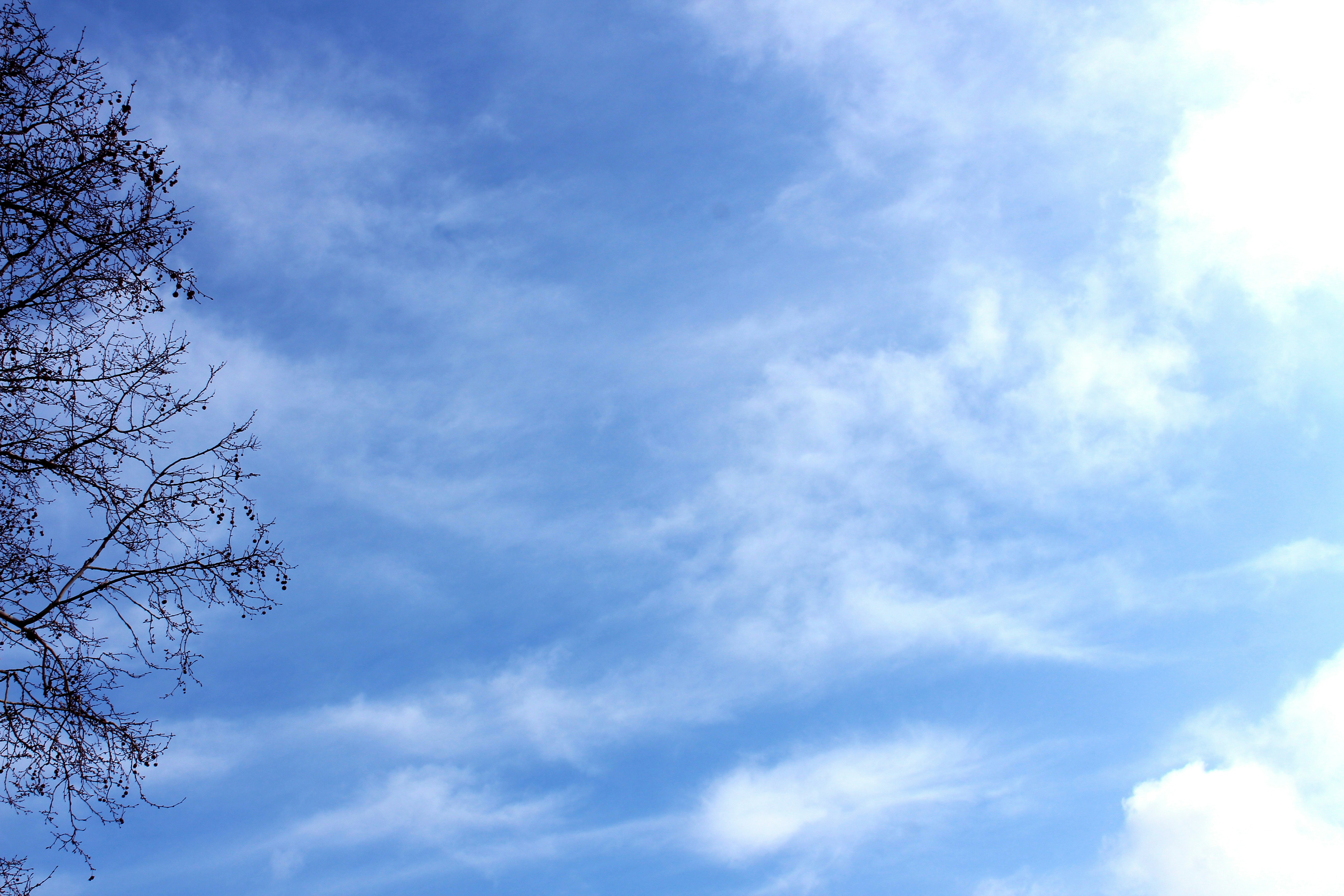 Hot Sky Pictures | Download Free Images on Unsplash