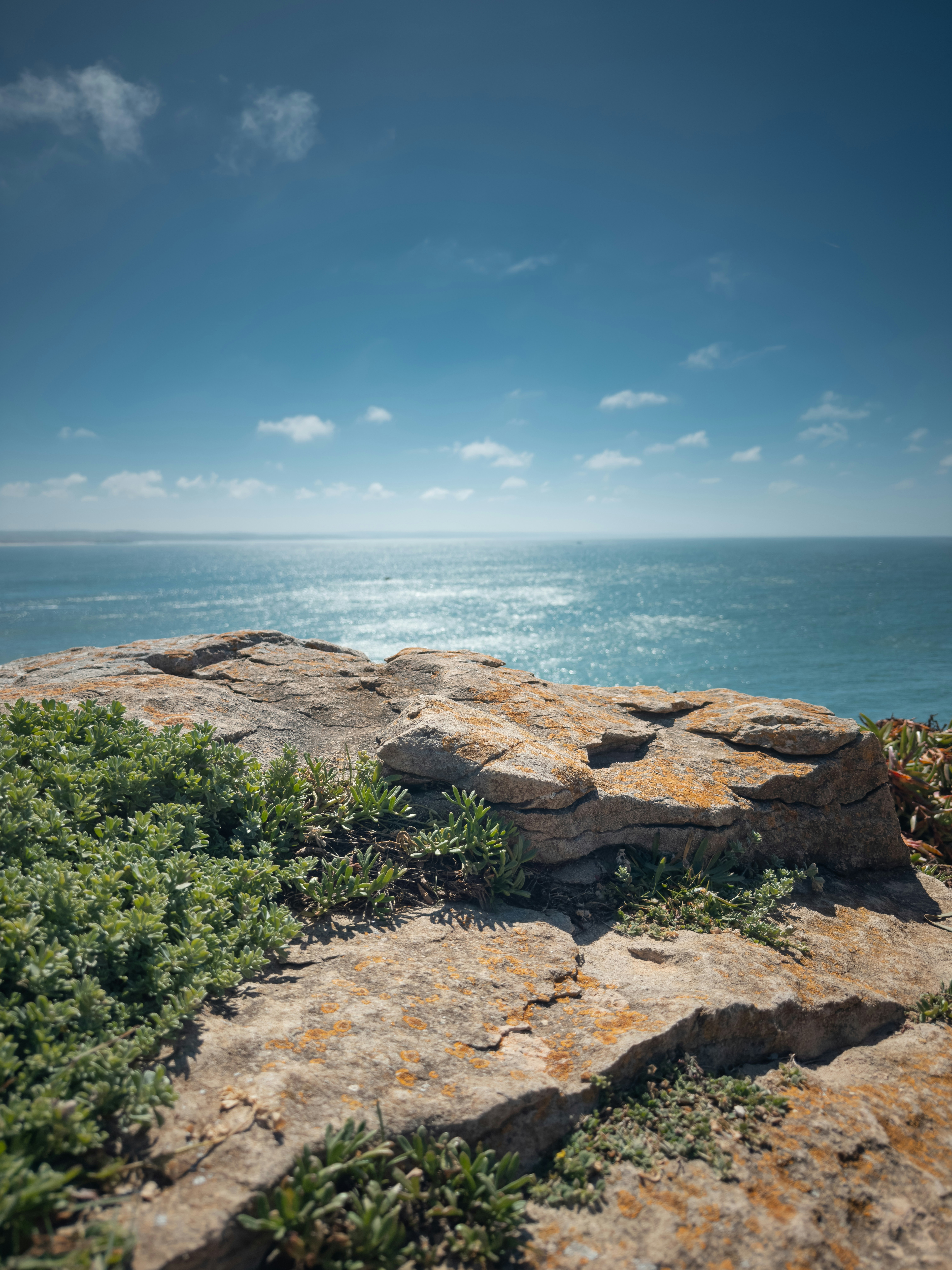 Serene Coastal Horizon