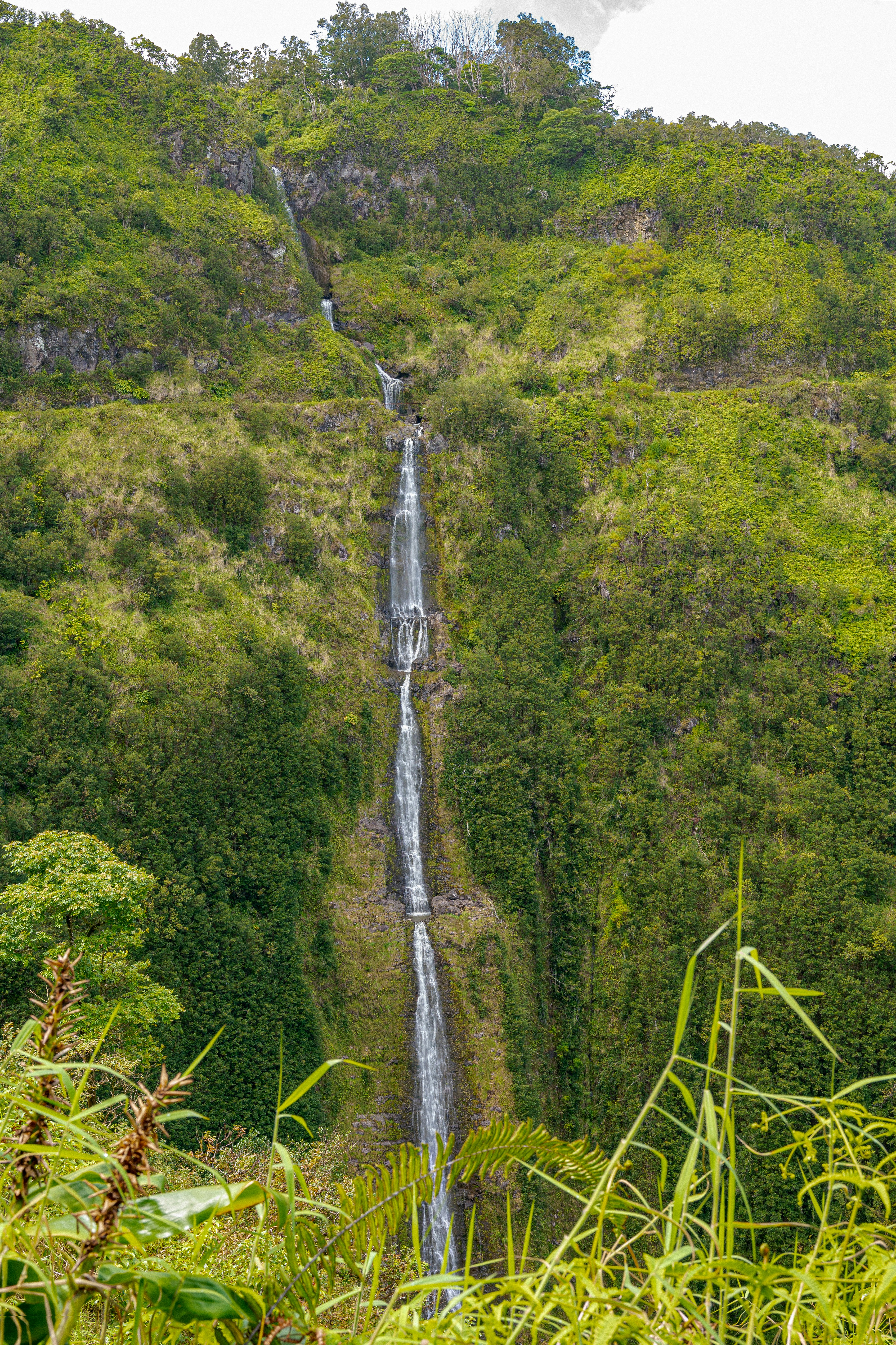 A tall waterfall cascades down a lush, green mountain.
