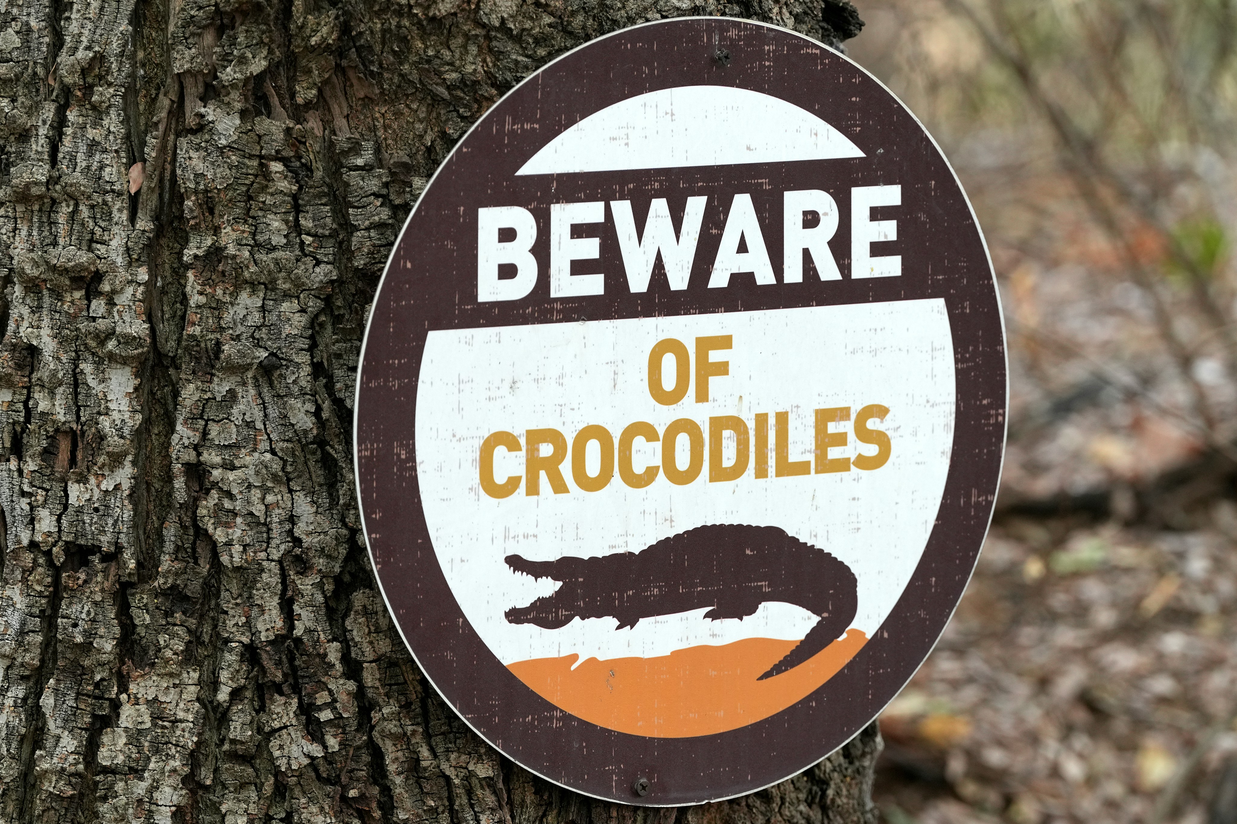 Warning sign advising caution against crocodiles, featuring a silhouette of the reptile against a rustic background.