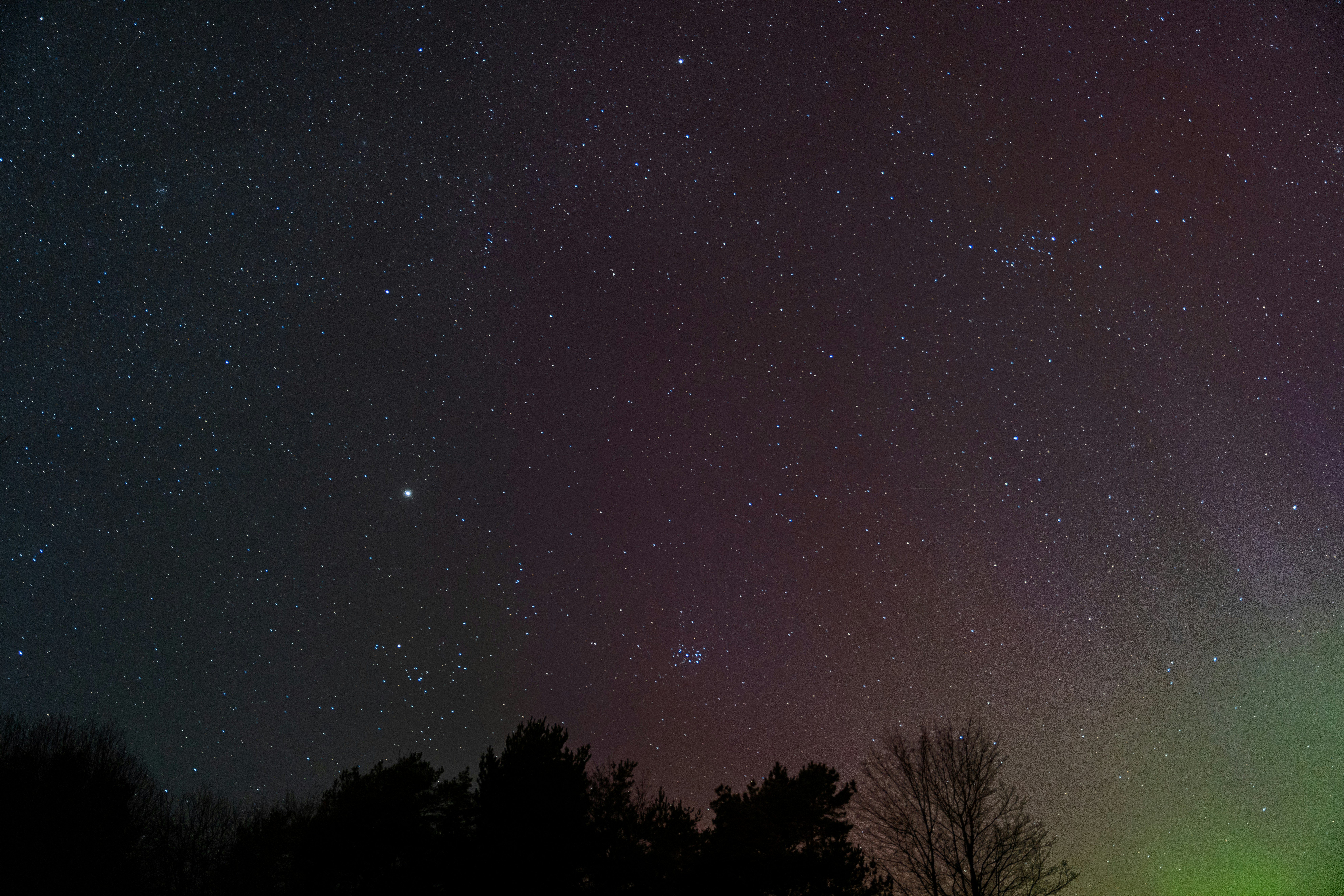 Vast night sky filled with stars, featuring a hint of auroral glow at the horizon, with silhouettes of trees below.