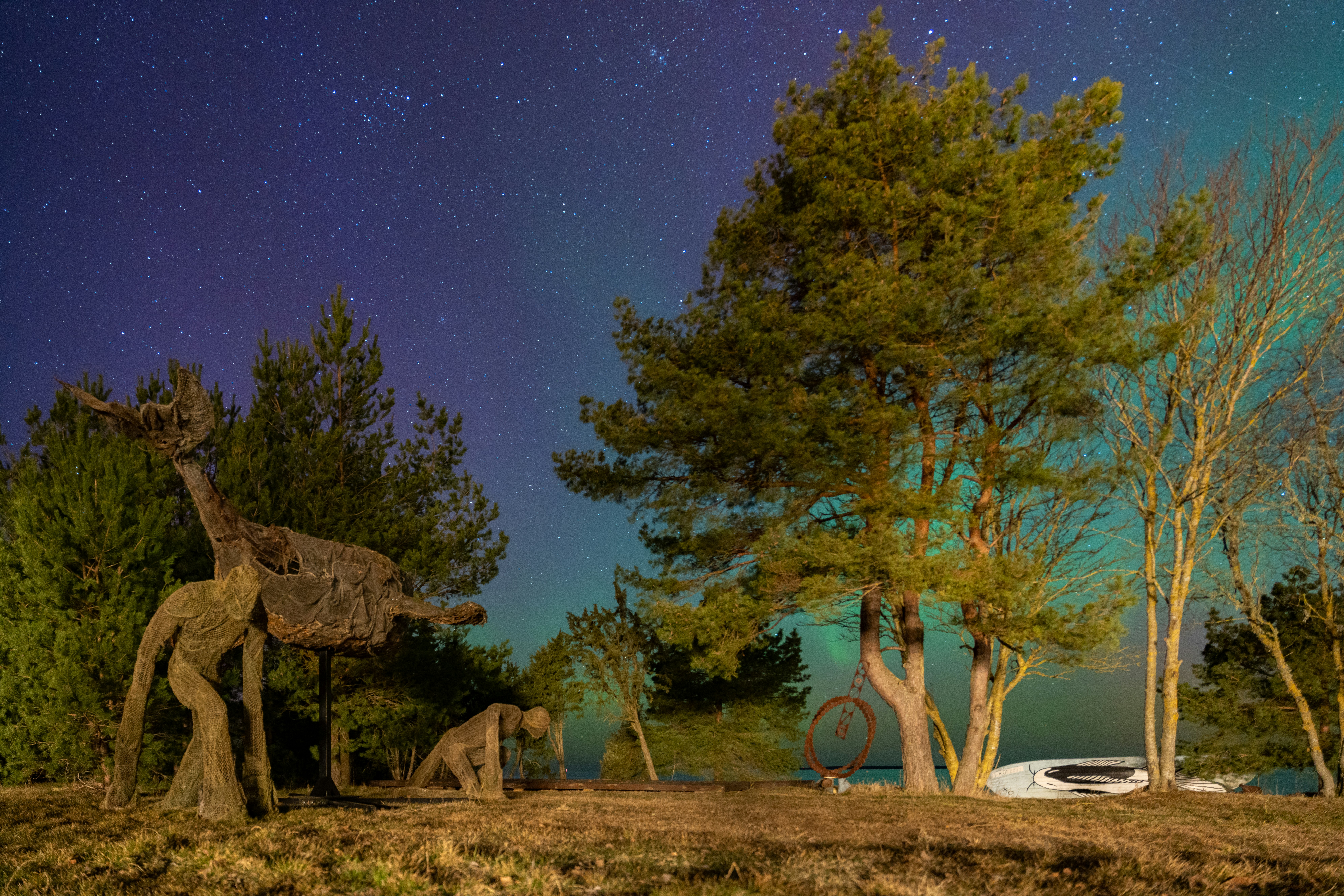Cosmic Dance of Nature and Sculpture