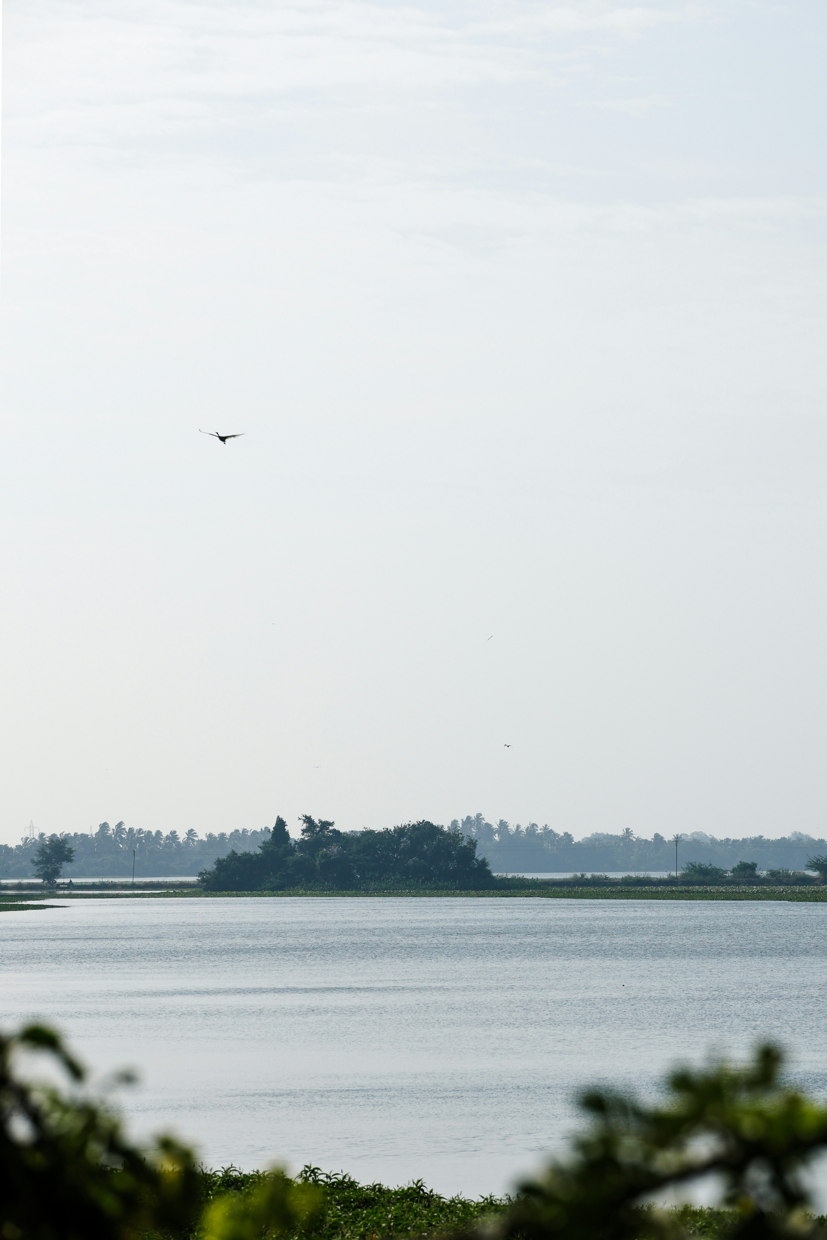 Distant island surrounded by calm waters under a pale sky with a lone bird soaring above.