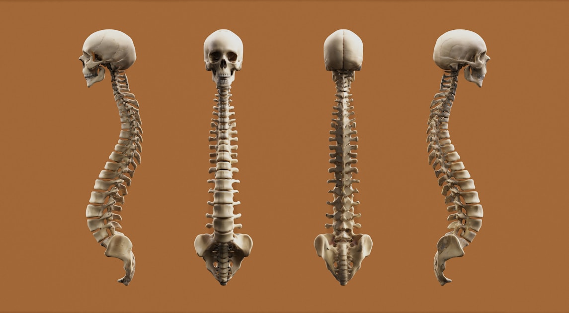 Osteoporosis Risk Calculator - FRAX Score Calculator | Health Calculators