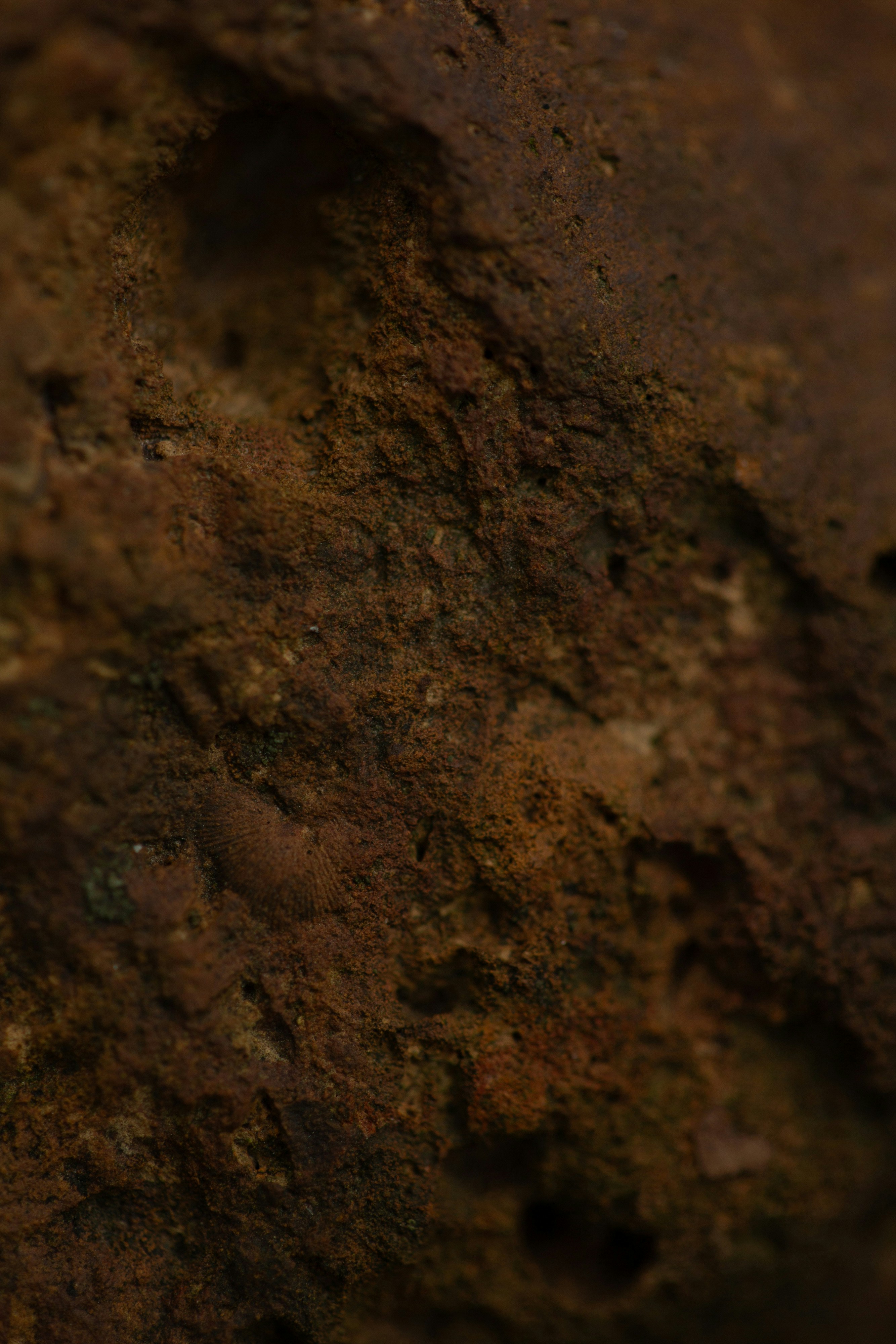 Embedded Pictures | Download Free Images on Unsplash