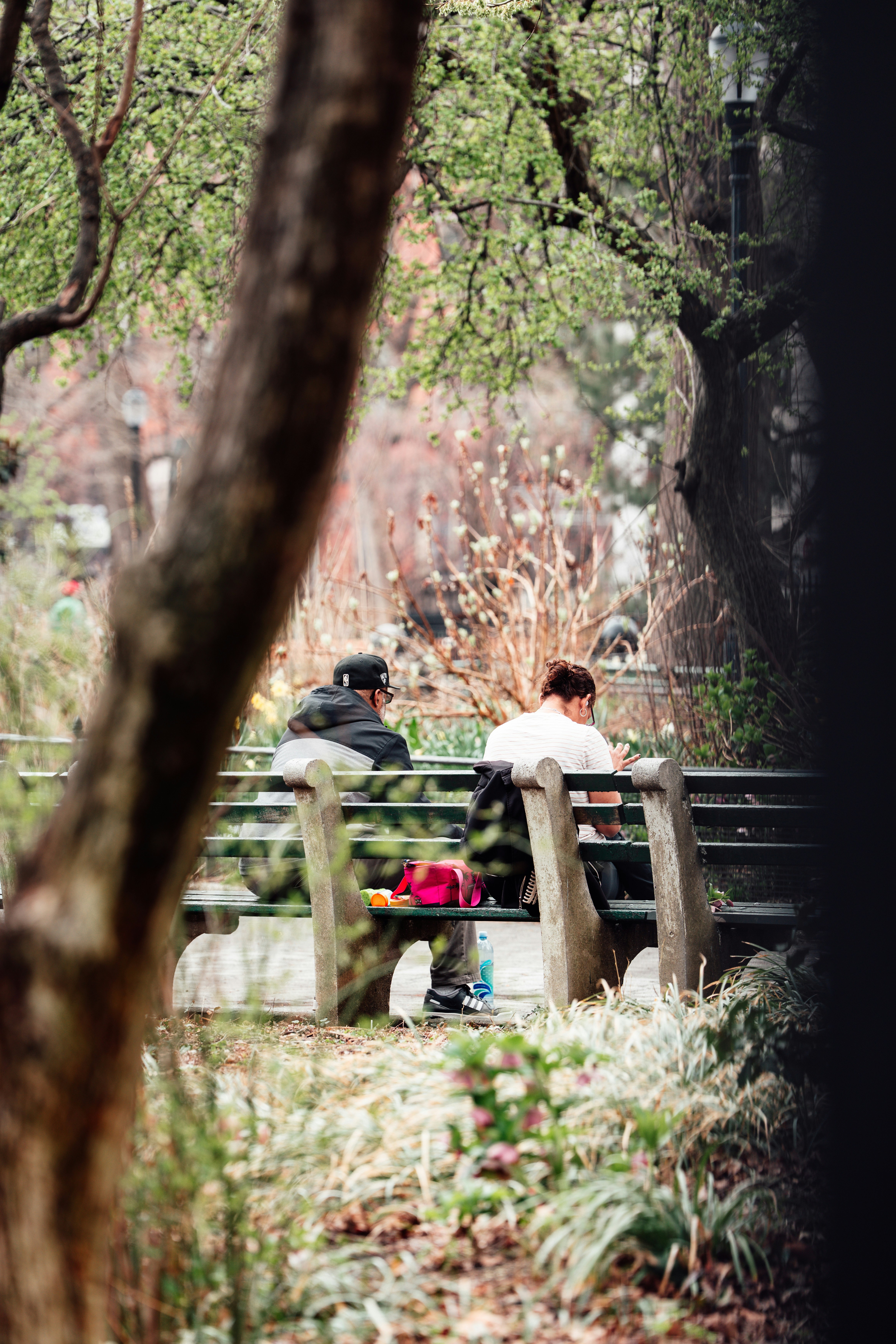 Two people sit on a park bench surrounded by lush greenery and blurred trees, creating a sense of seclusion.