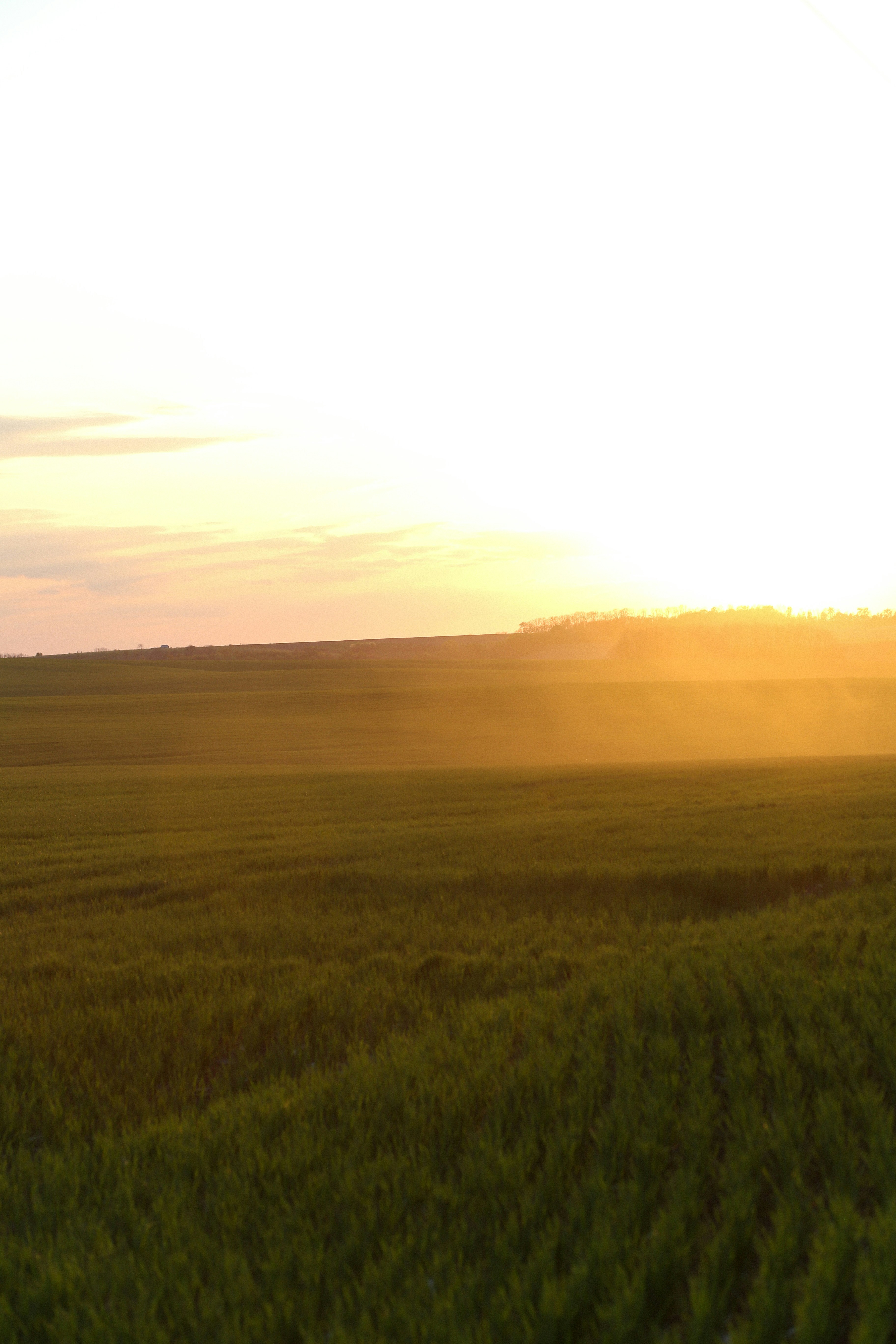 Sunset bathes rolling green fields in a warm glow as mist rises gently from the earth.