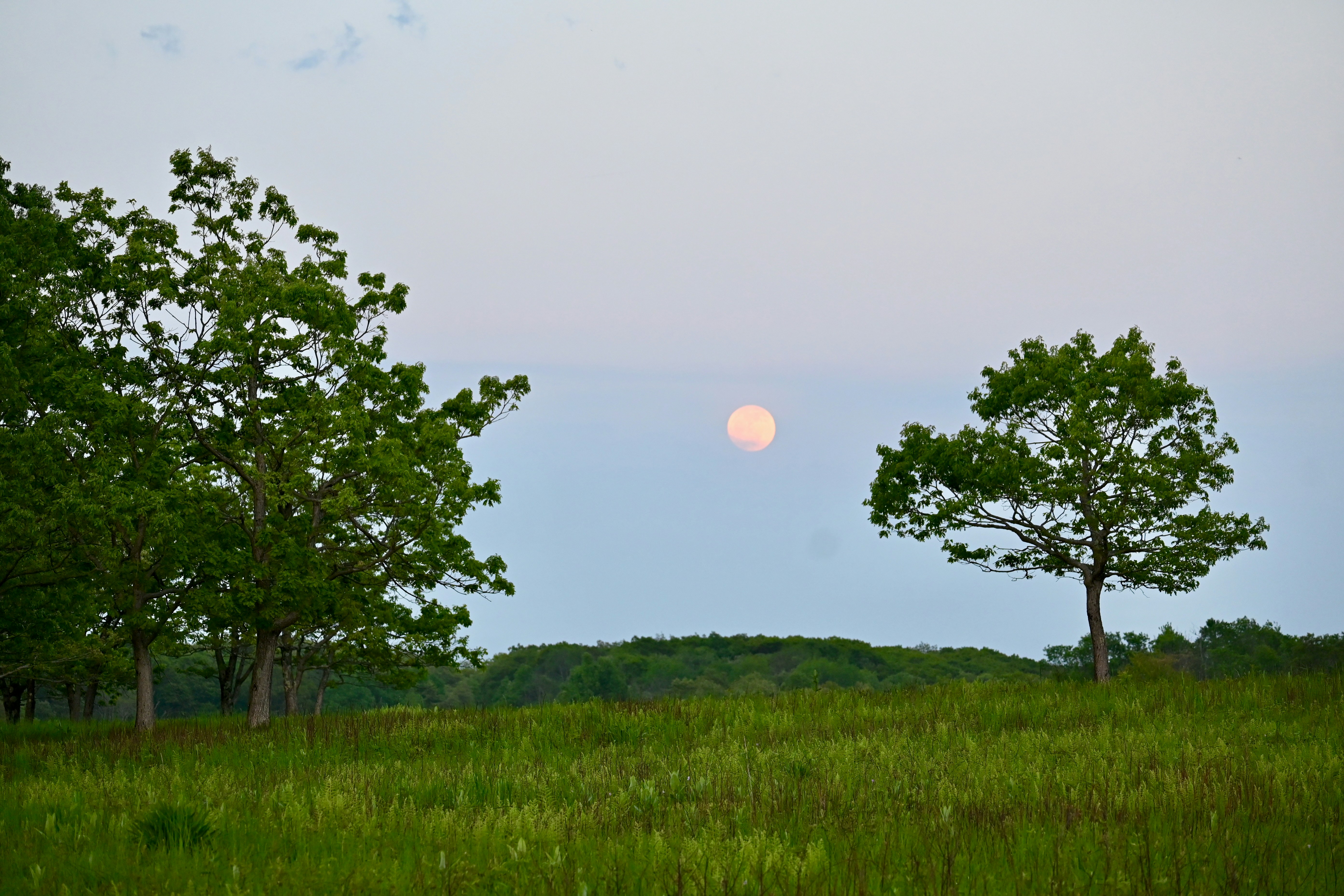 Jake Mailloux (@jmaill) | Unsplash 사진 커뮤니티
