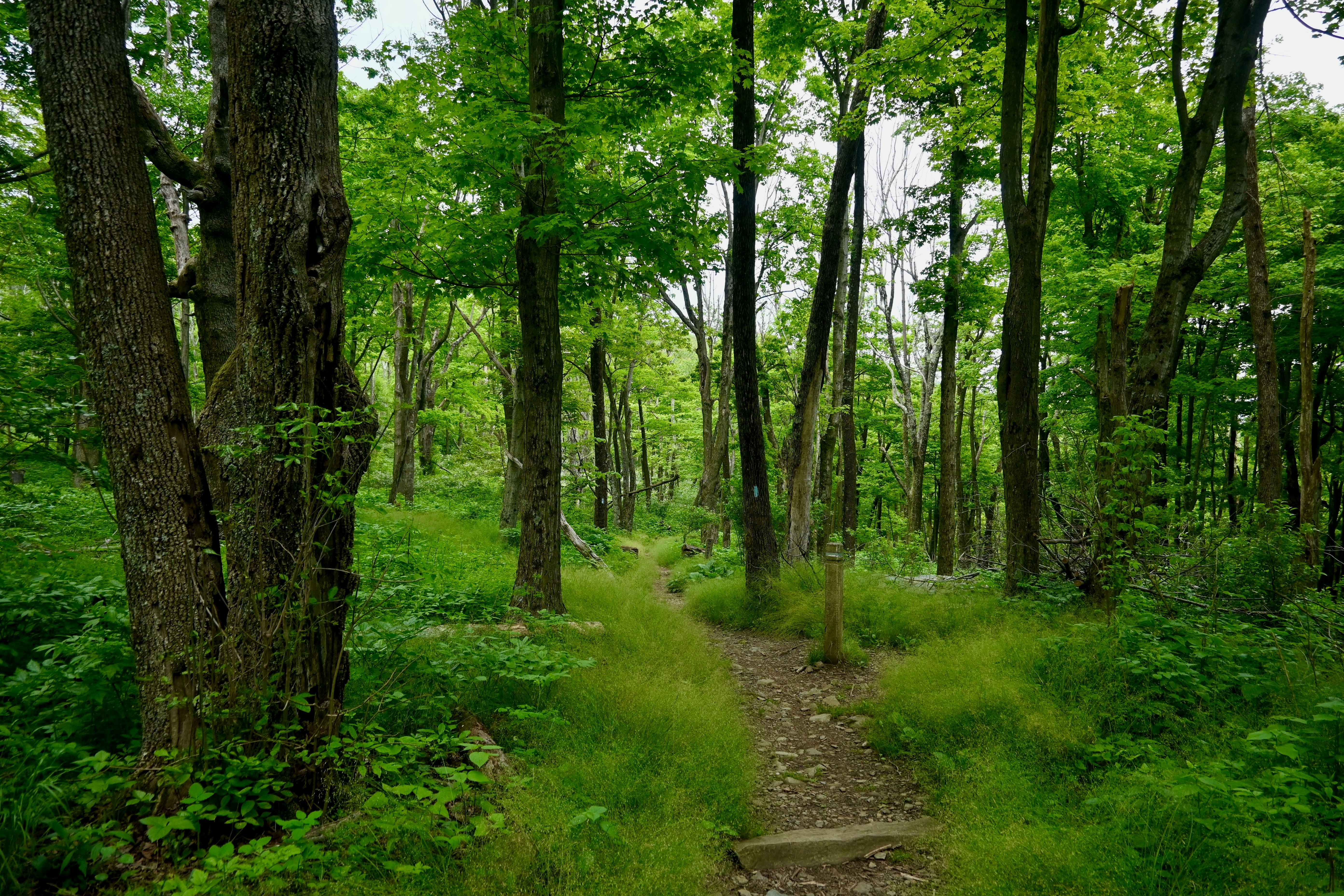 Jake Mailloux (@jmaill) | Unsplash 사진 커뮤니티