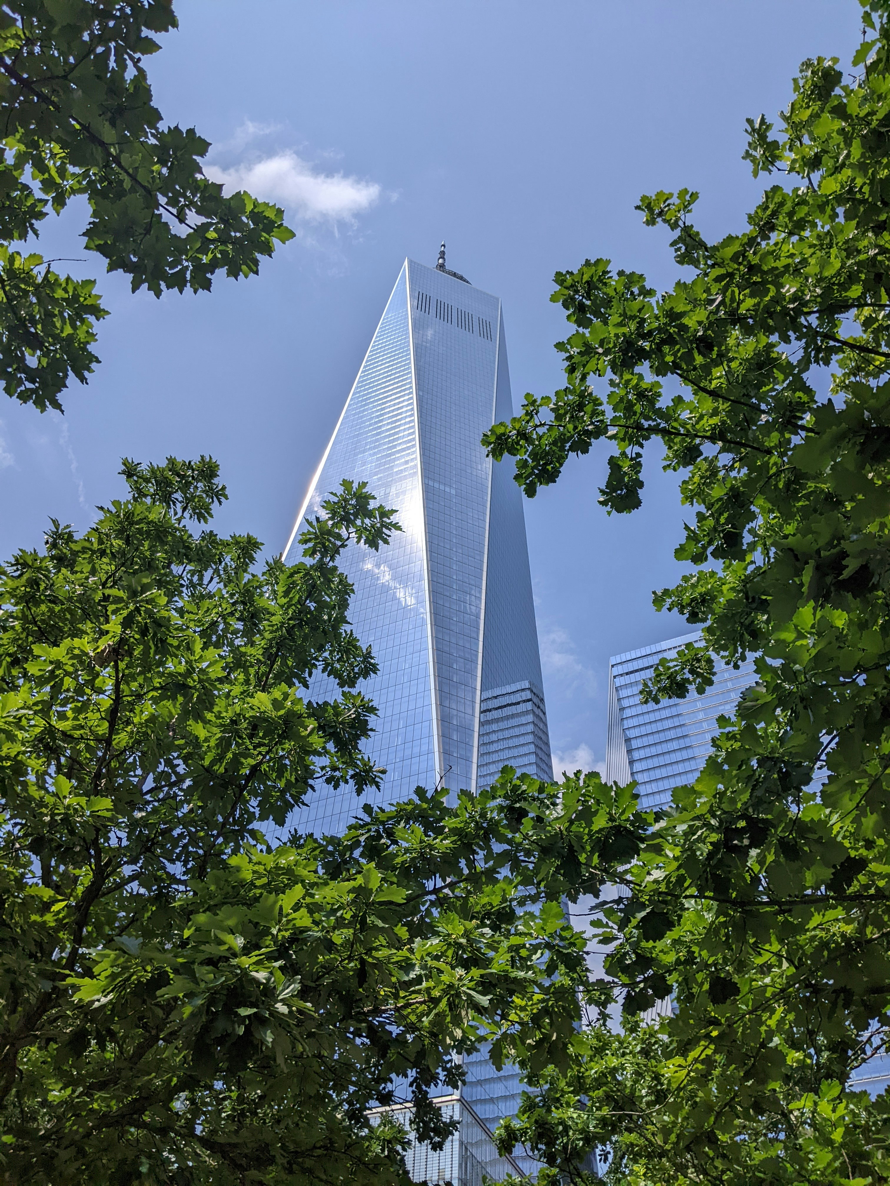 One World Trade Center framed by lush green leaves against a bright blue sky.