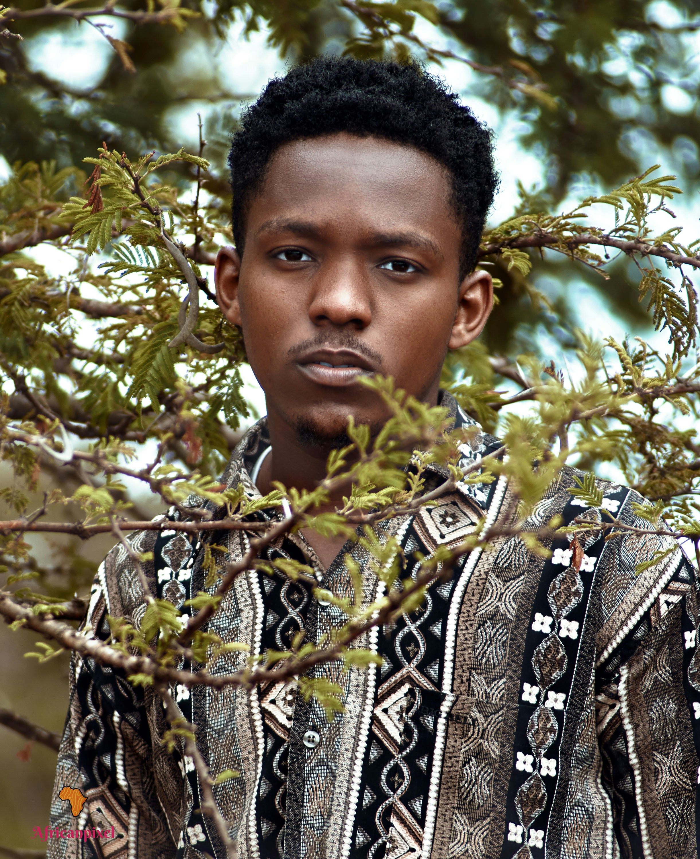 Handsome man poses among leafy tree branches. photo – Free Portrait ...
