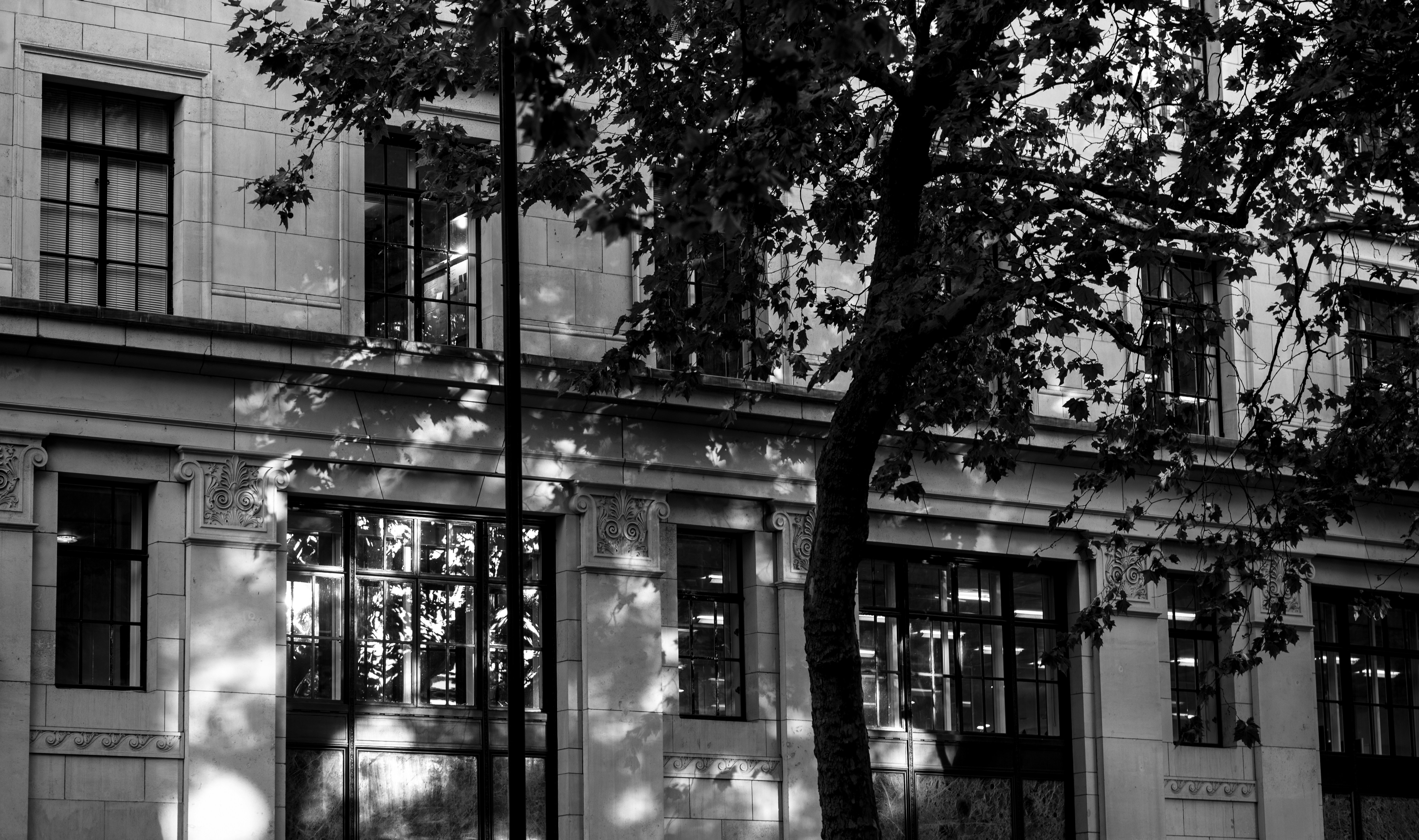 Black and white photograph of a building facade with dappled sunlight filtering through tree branches.