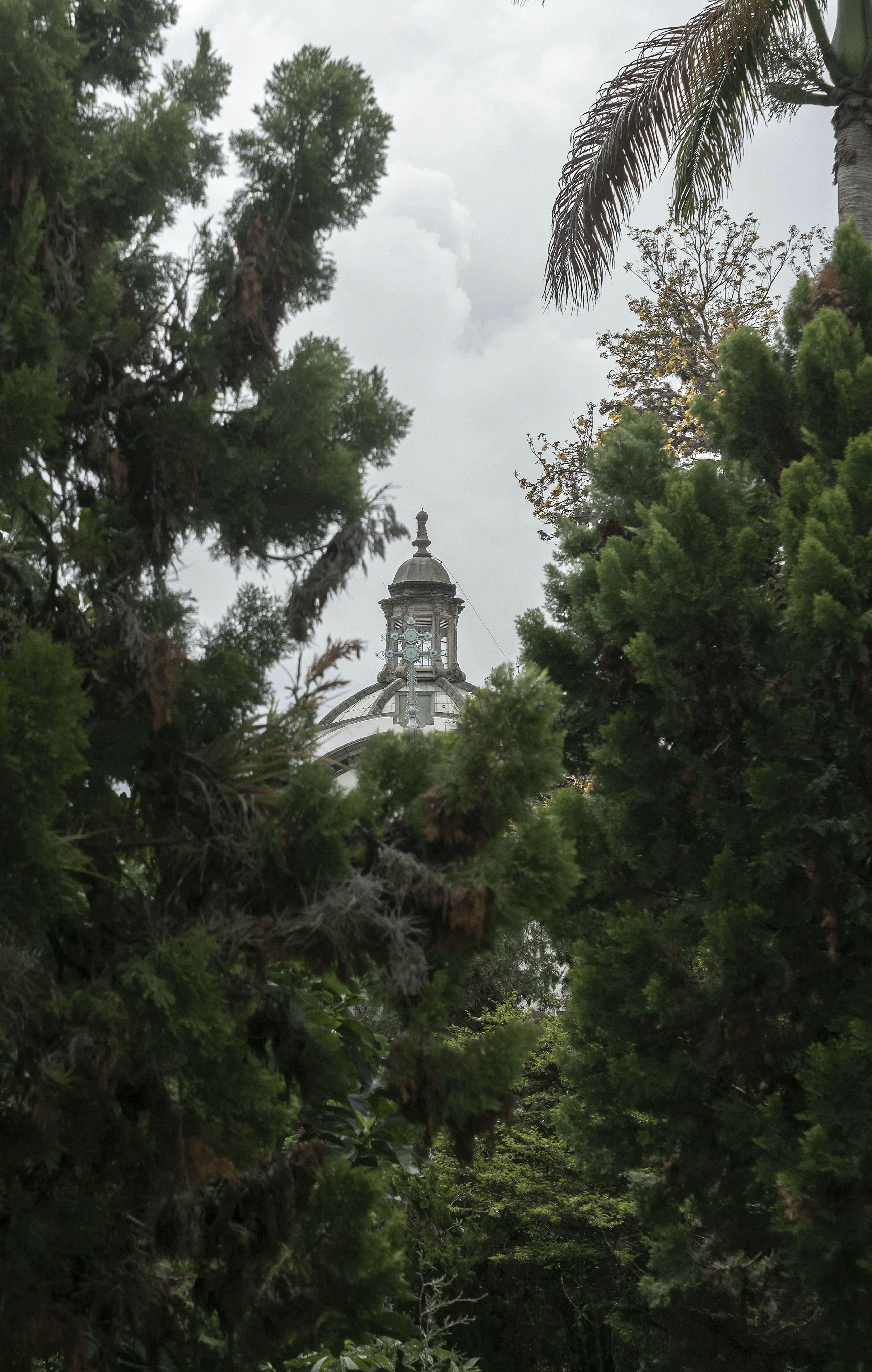 Hidden Dome: A Garden Path to the Quiet Clocktower