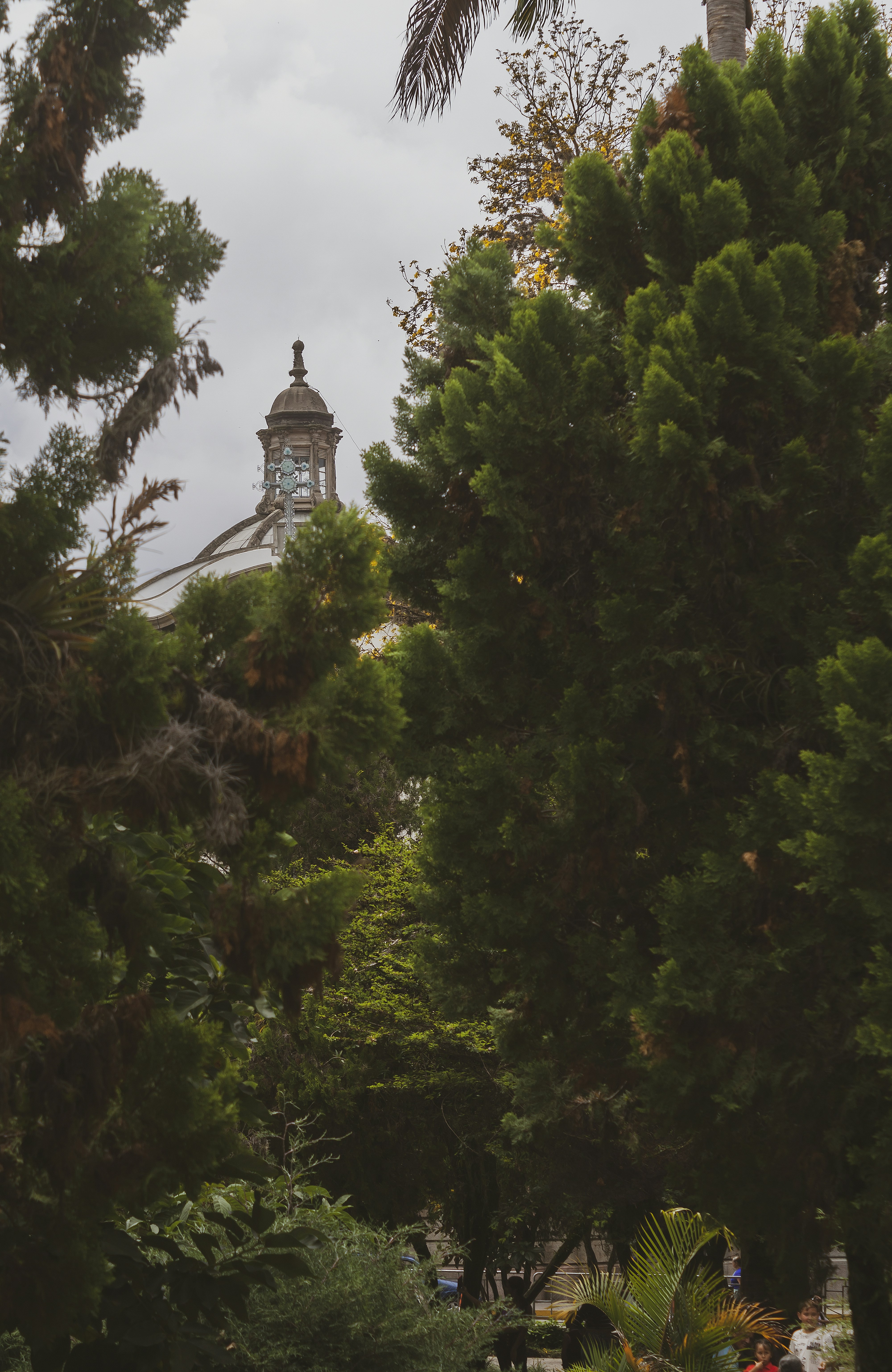 Historic tower peeks through lush green trees under a cloudy sky.