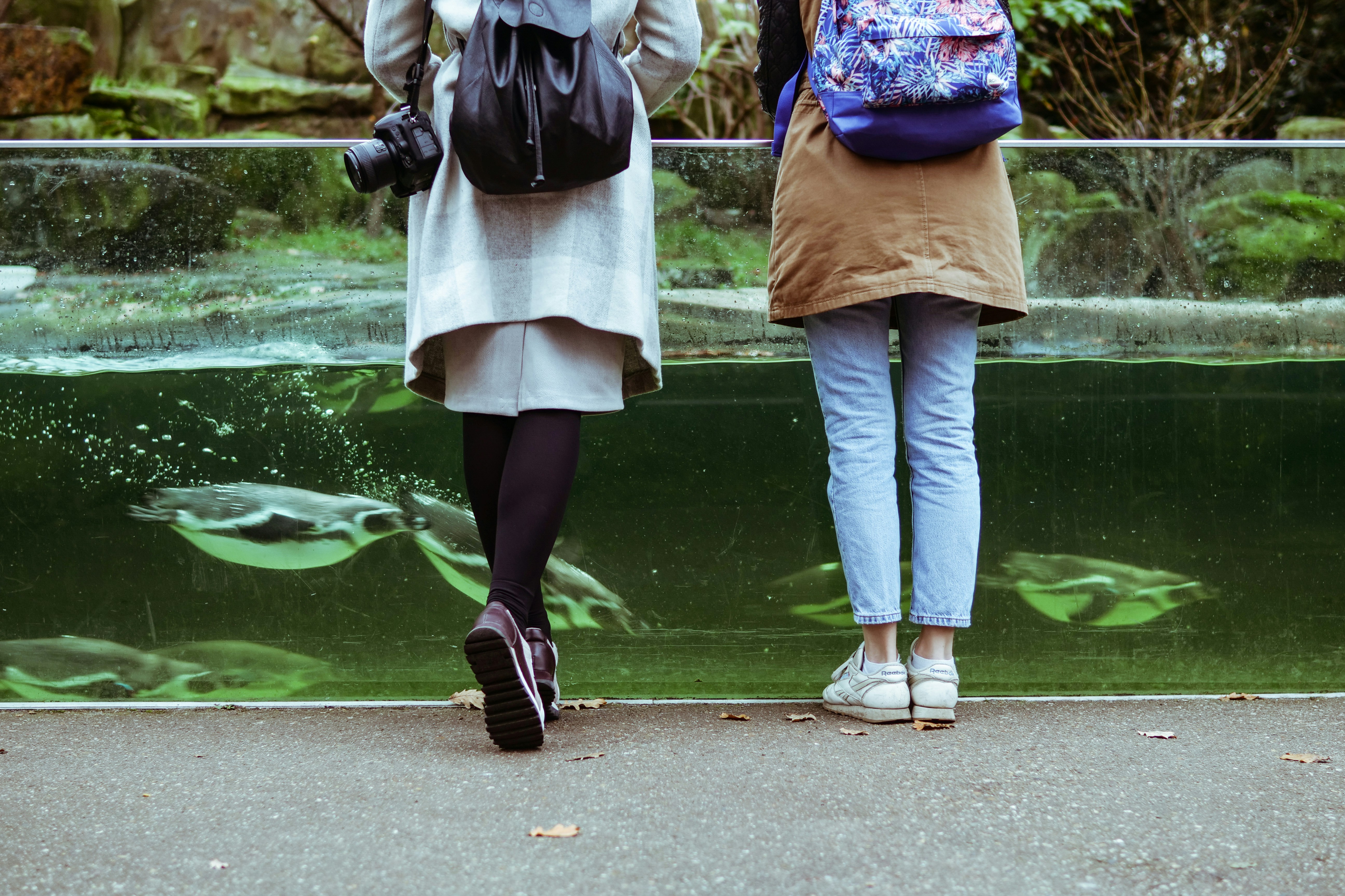 Two people with backpacks observe an aquarium filled with swimming fish.