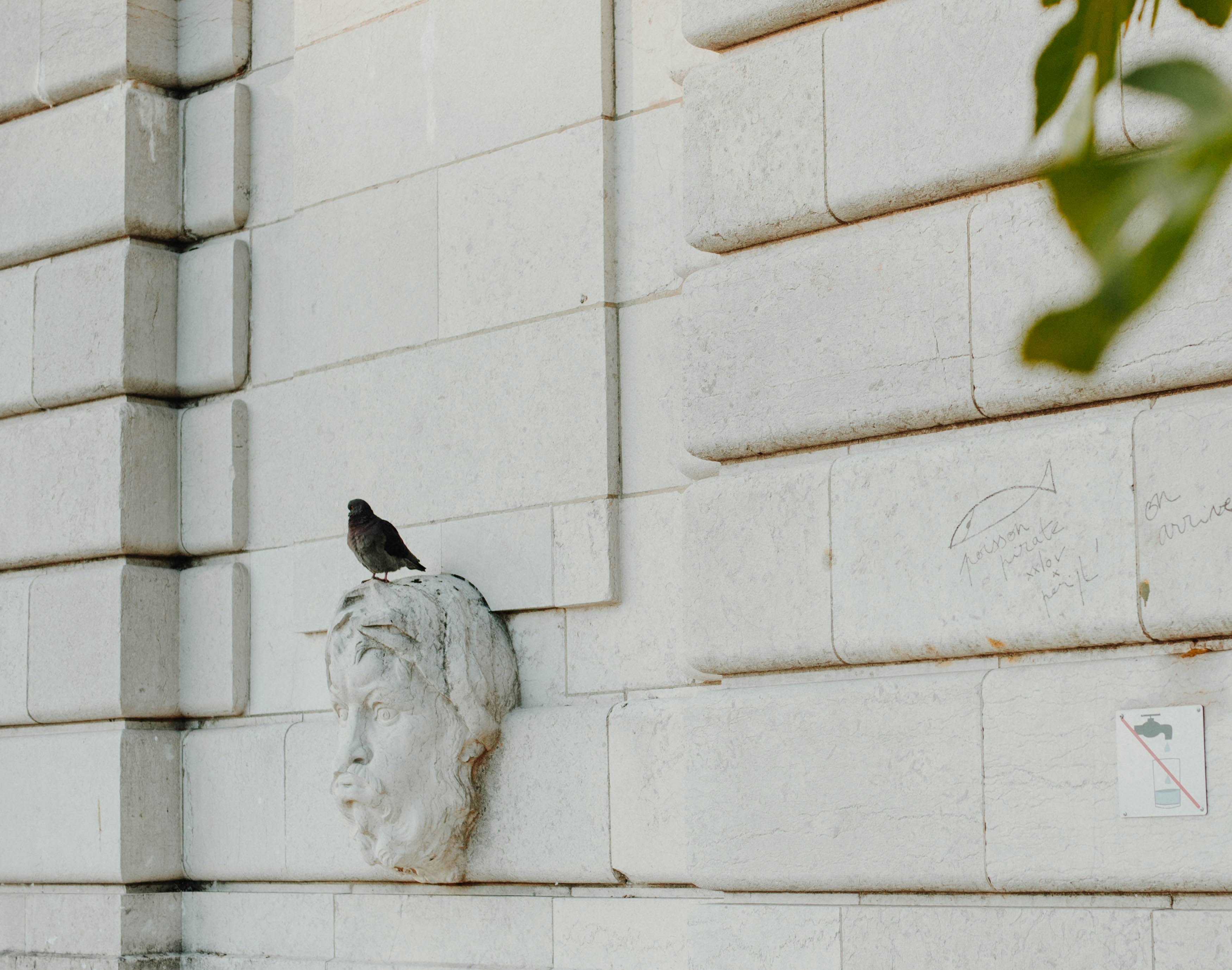 A solitary sparrow perches above a carved stone bust on sunlit masonry