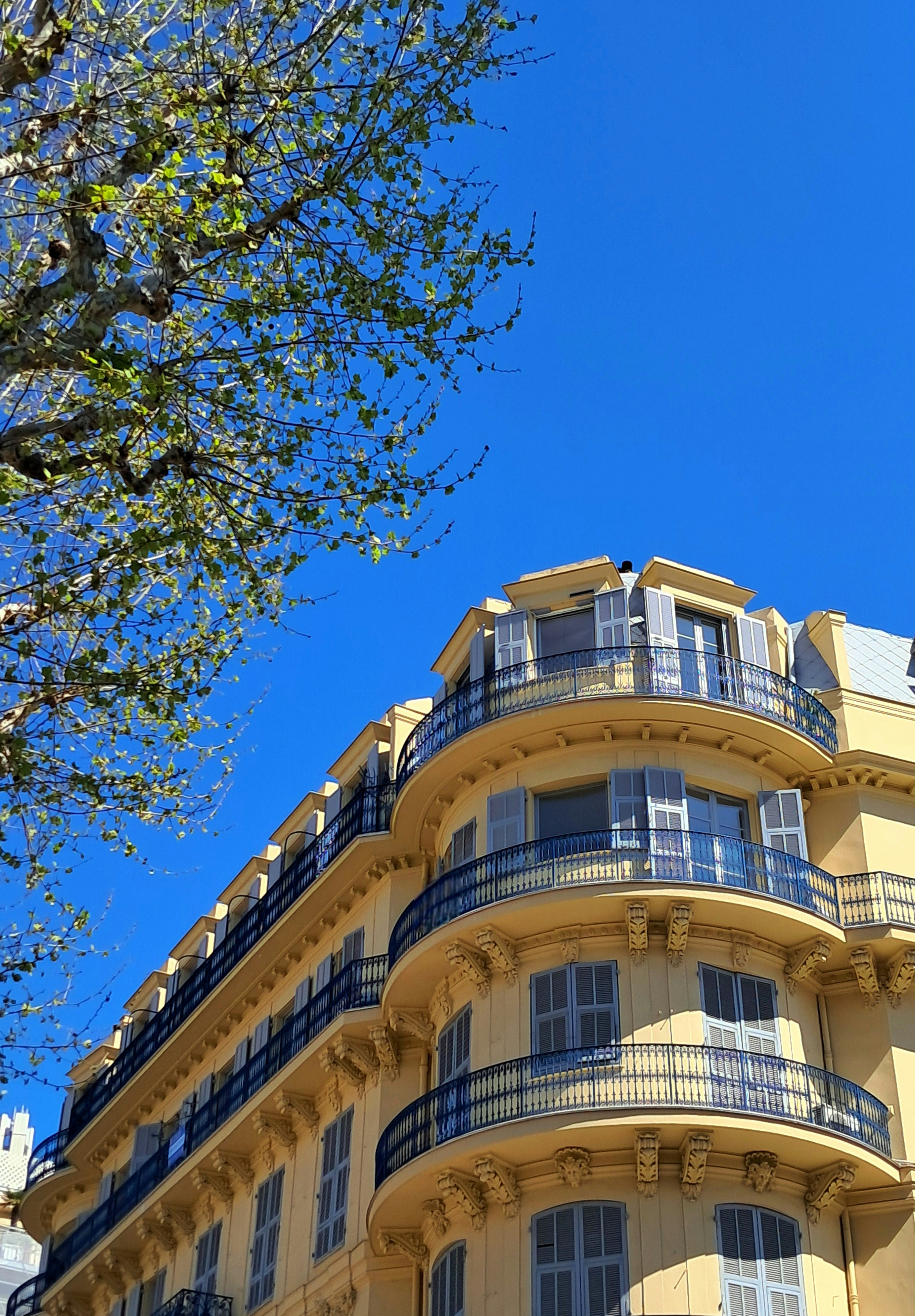 Sunlit Elegance on a Clear Day