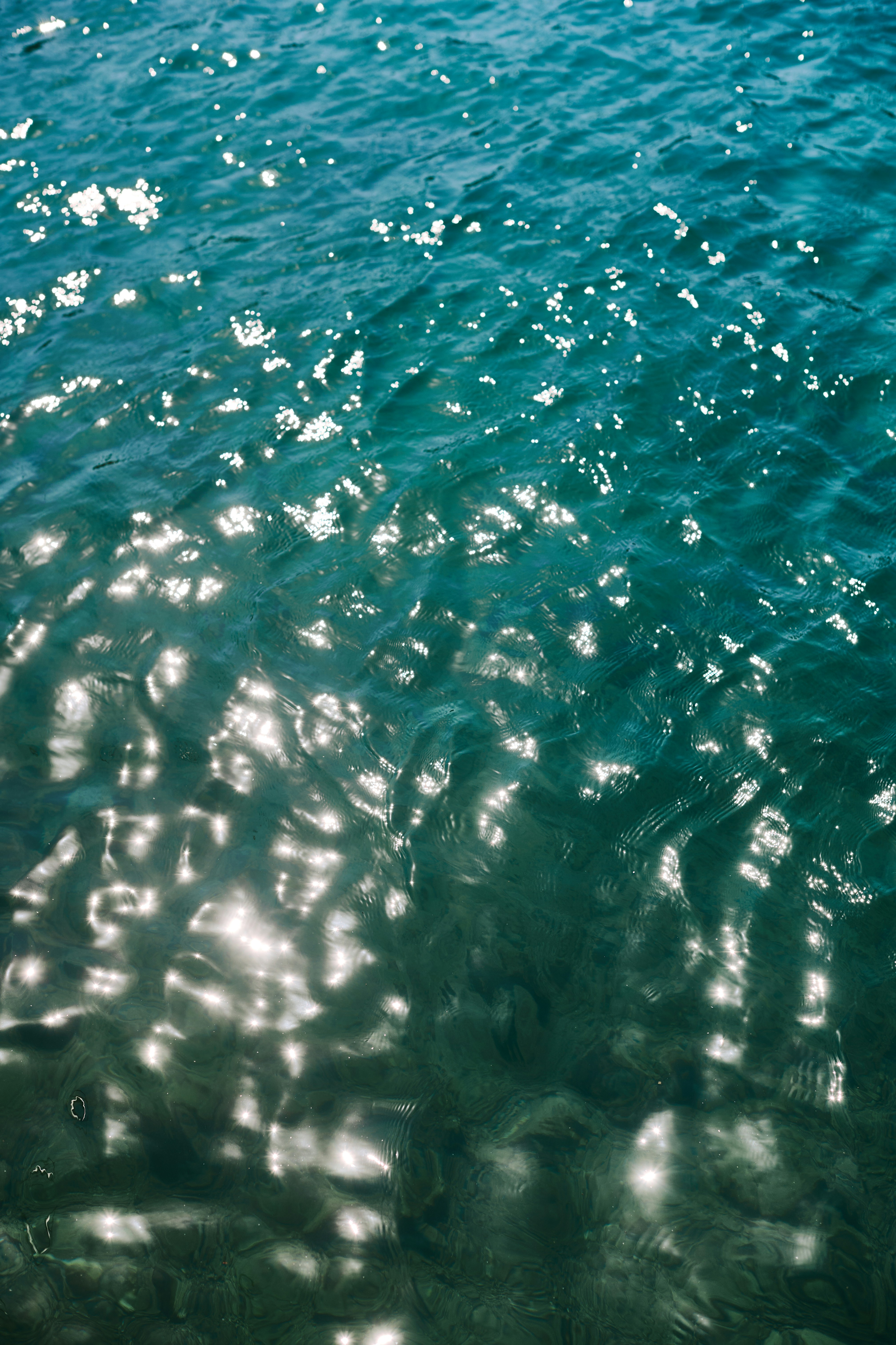 Photo by Kristina Tochilko with Nikon Zf