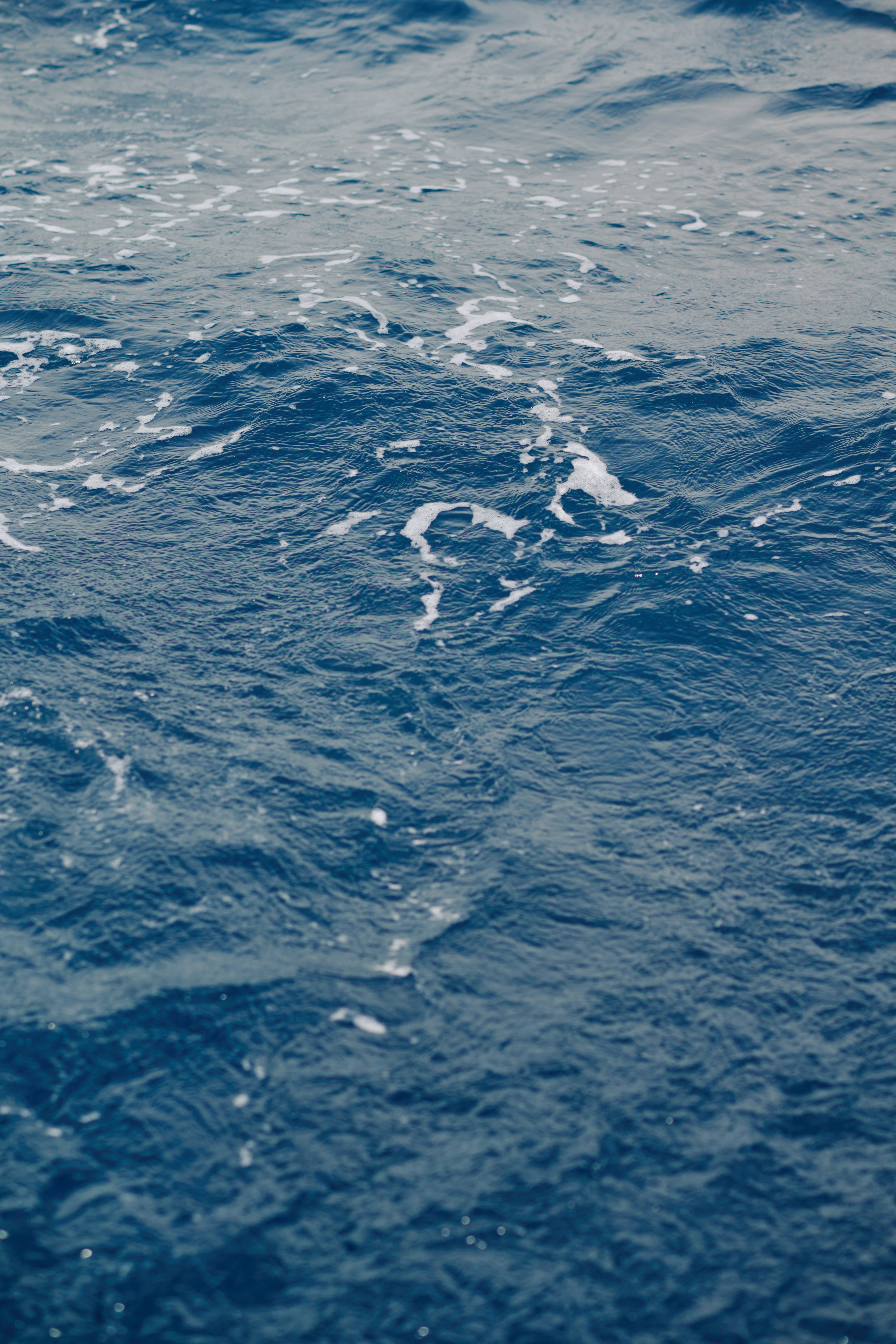 The ocean's surface is dark blue and choppy. photo – Free Travel Image ...