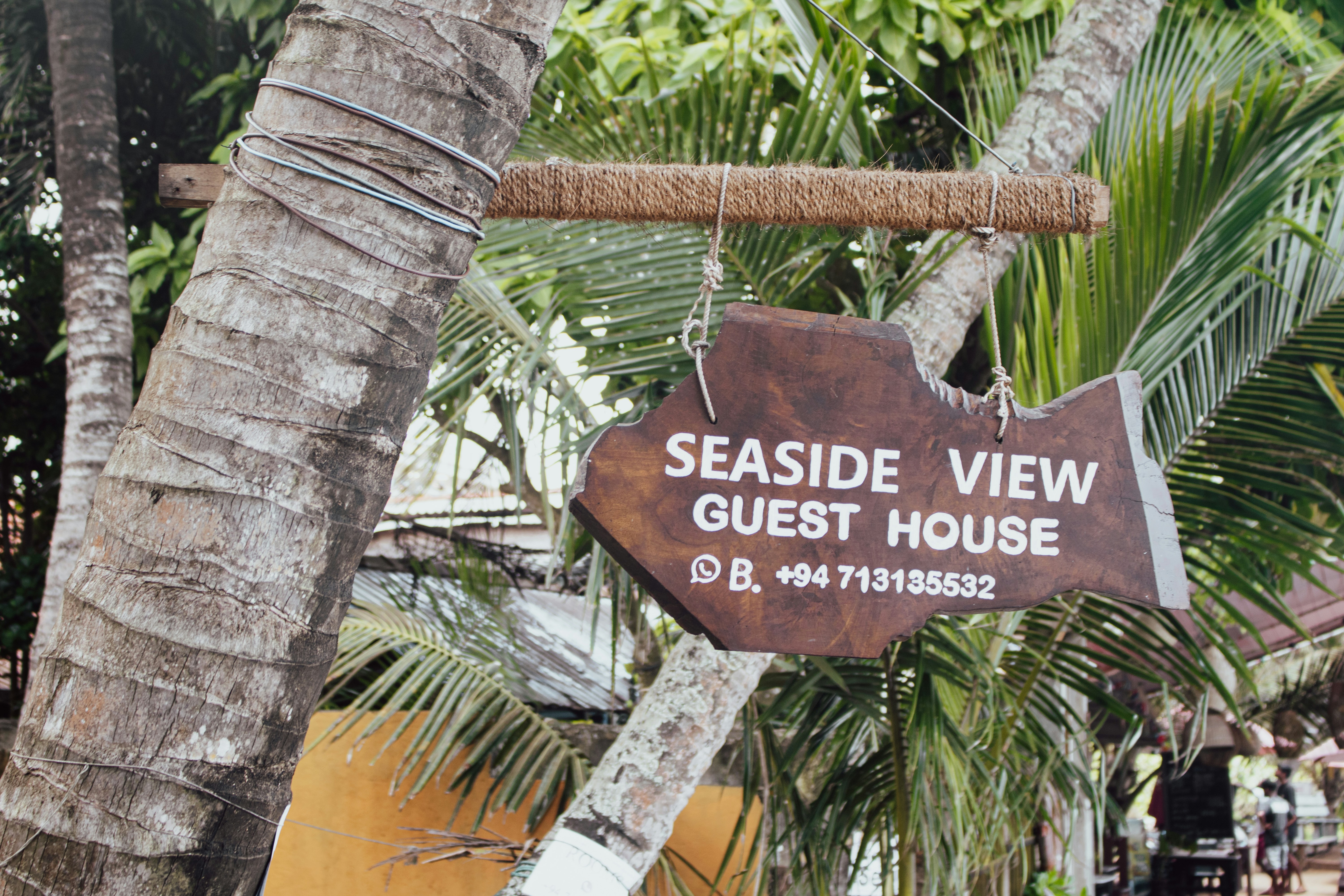 Seaside view guest house sign hangs from a palm tree. photo – Free ...