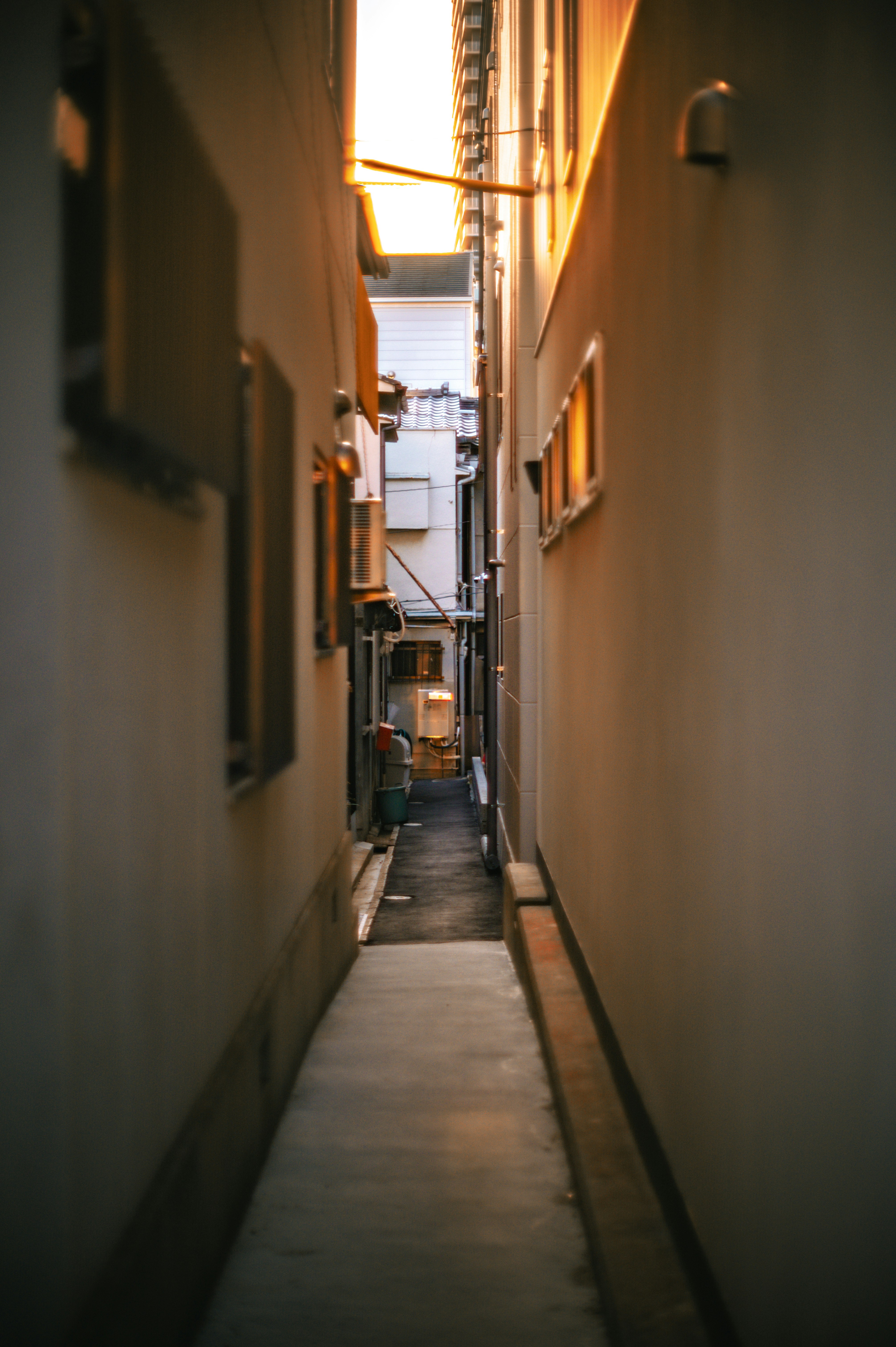 Golden Hour Alleyway