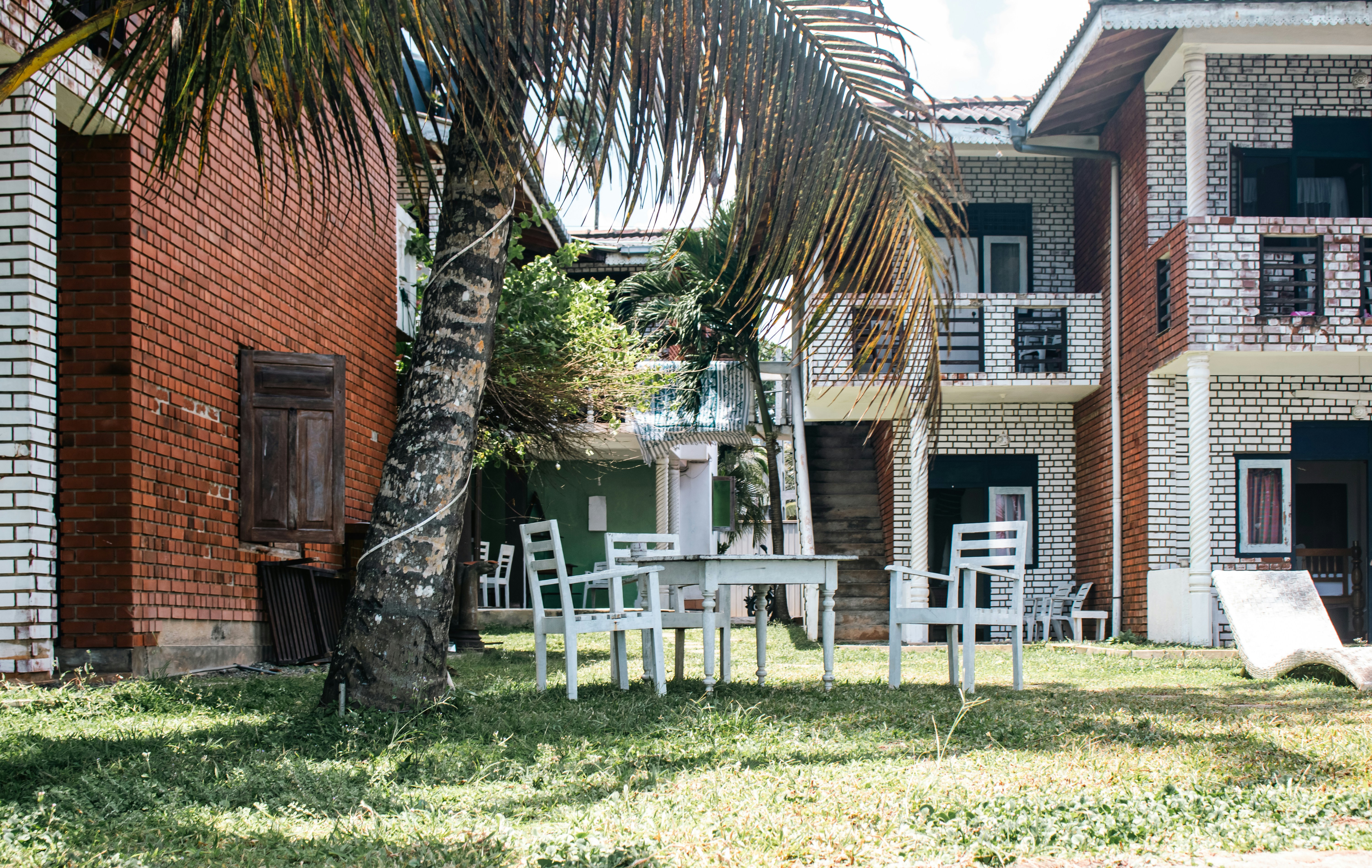 White chairs and table set beneath a palm tree in a serene hotel garden with rustic buildings in the background.